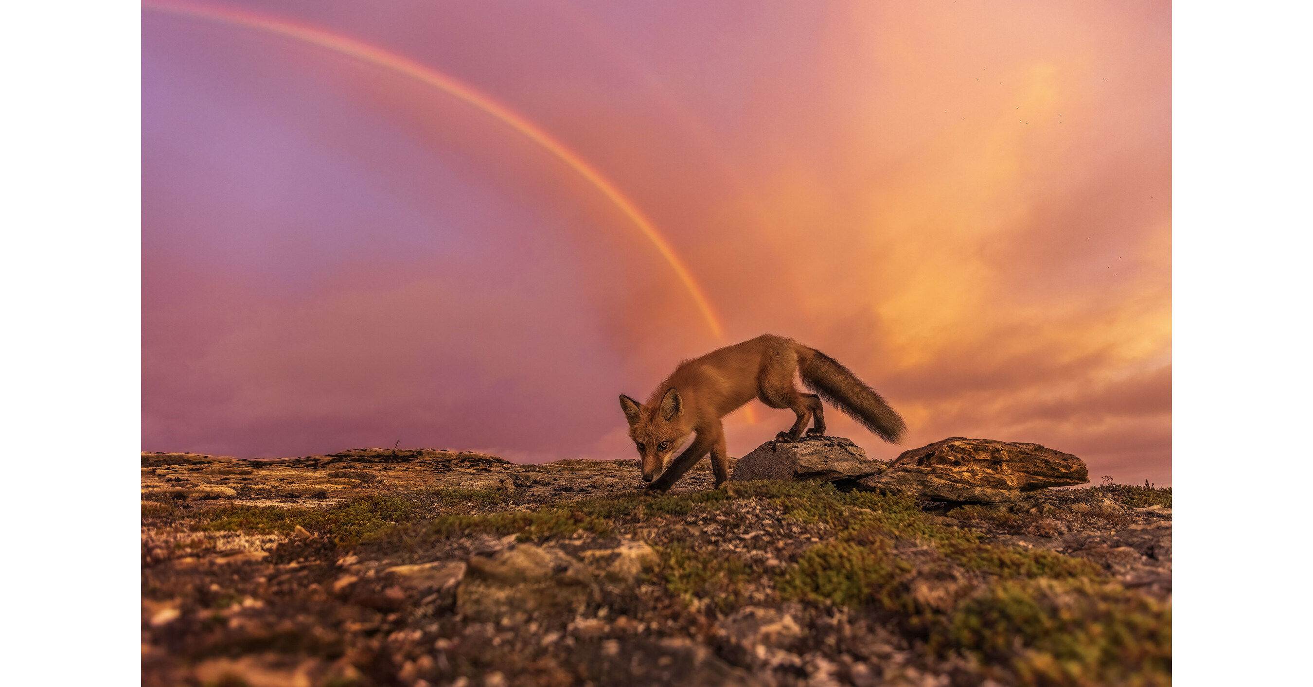 Canadian Geographic announces the winners of its Canadian Photos of the ...