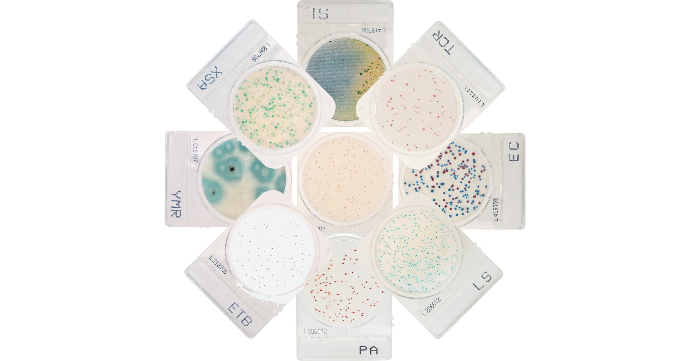 CompactDry TCR (Total Count Rapid) is added to the Hardy Diagnostics ...