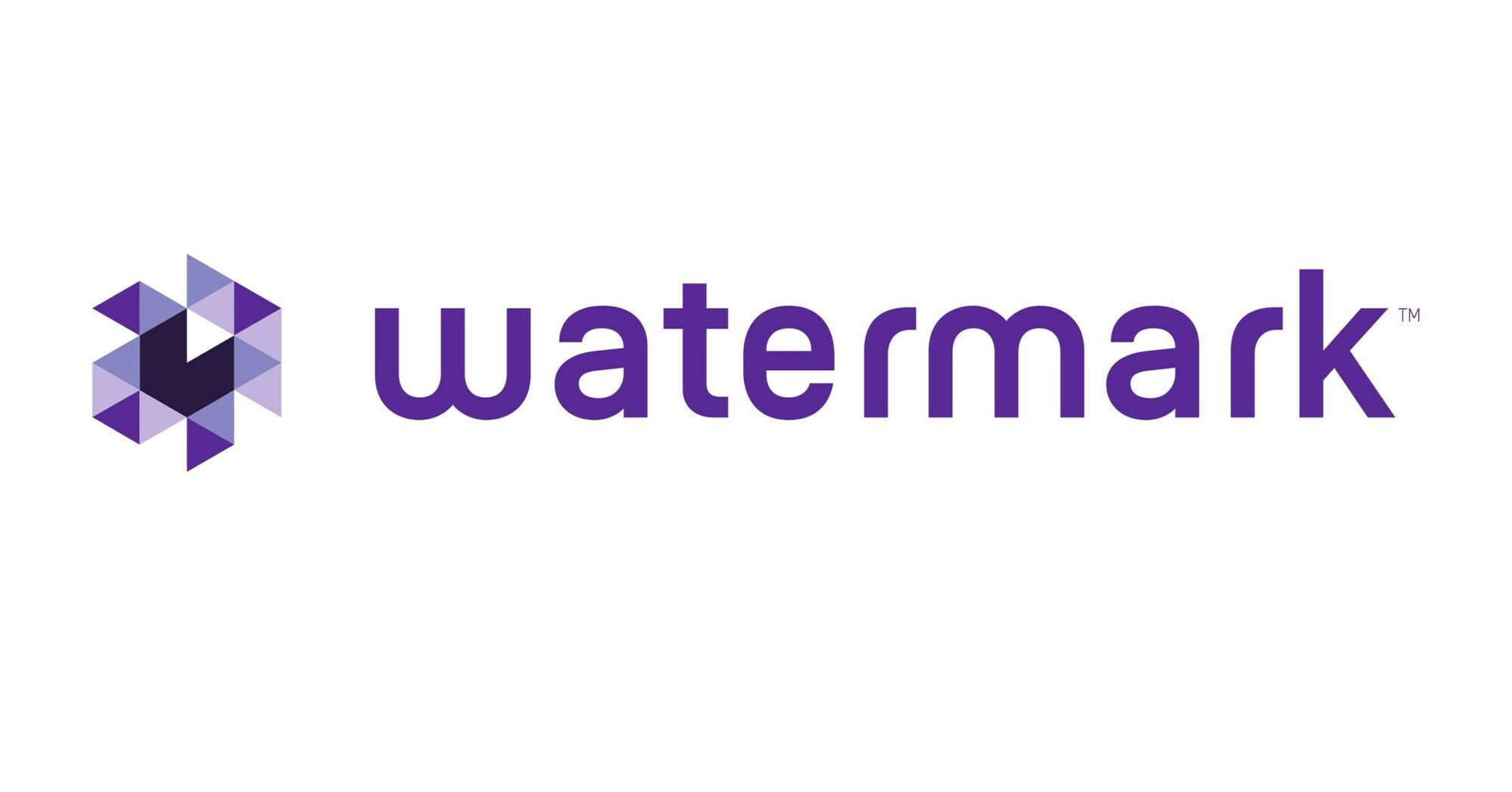 Watermark Study Reveals 22.4% Retention Increase for Minority Male ...