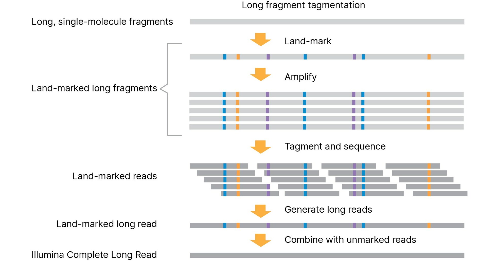 Illumina delivers first NovaSeq X Plus sequencer to the Broad Institute