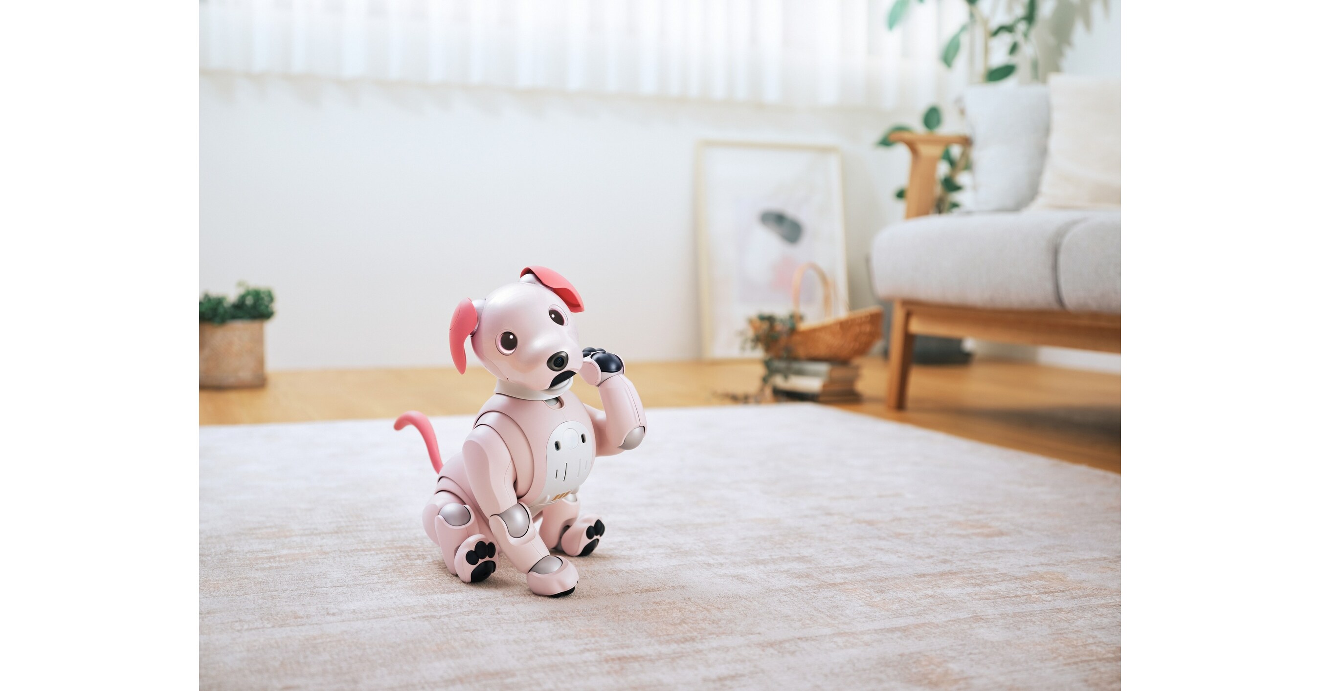 Sony Electronics Launches Limited aibo Strawberry Milk Edition in the US