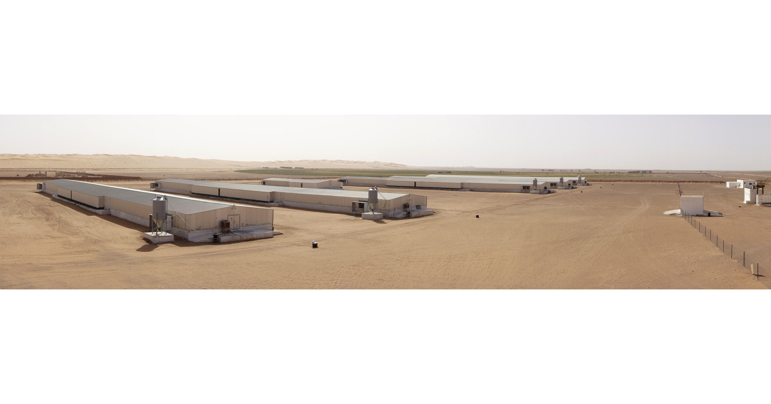 Tanmiah Food Company partners with international food and agrotech ...