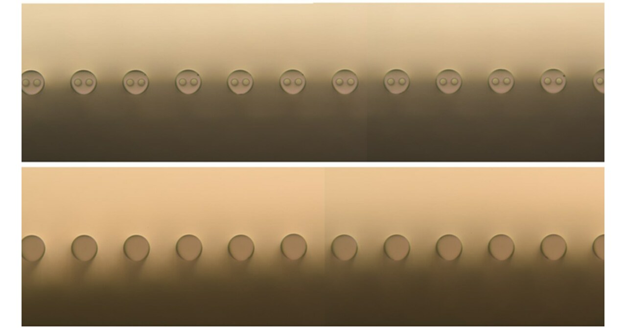 High Precision Fiber Array Assembly Products for Silicon Photonics ...