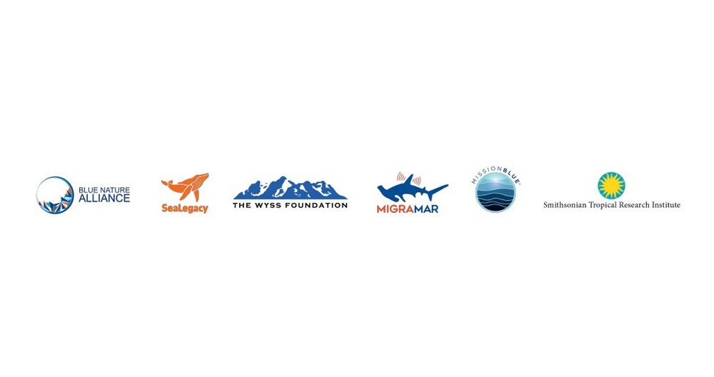 Panama Achieves 50% Ocean Protection with Newly Expanded Banco Volcán ...