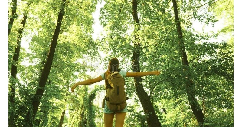 Luxury Boutique Hotel in Poconos Offers Unique Forest Field Trip ...