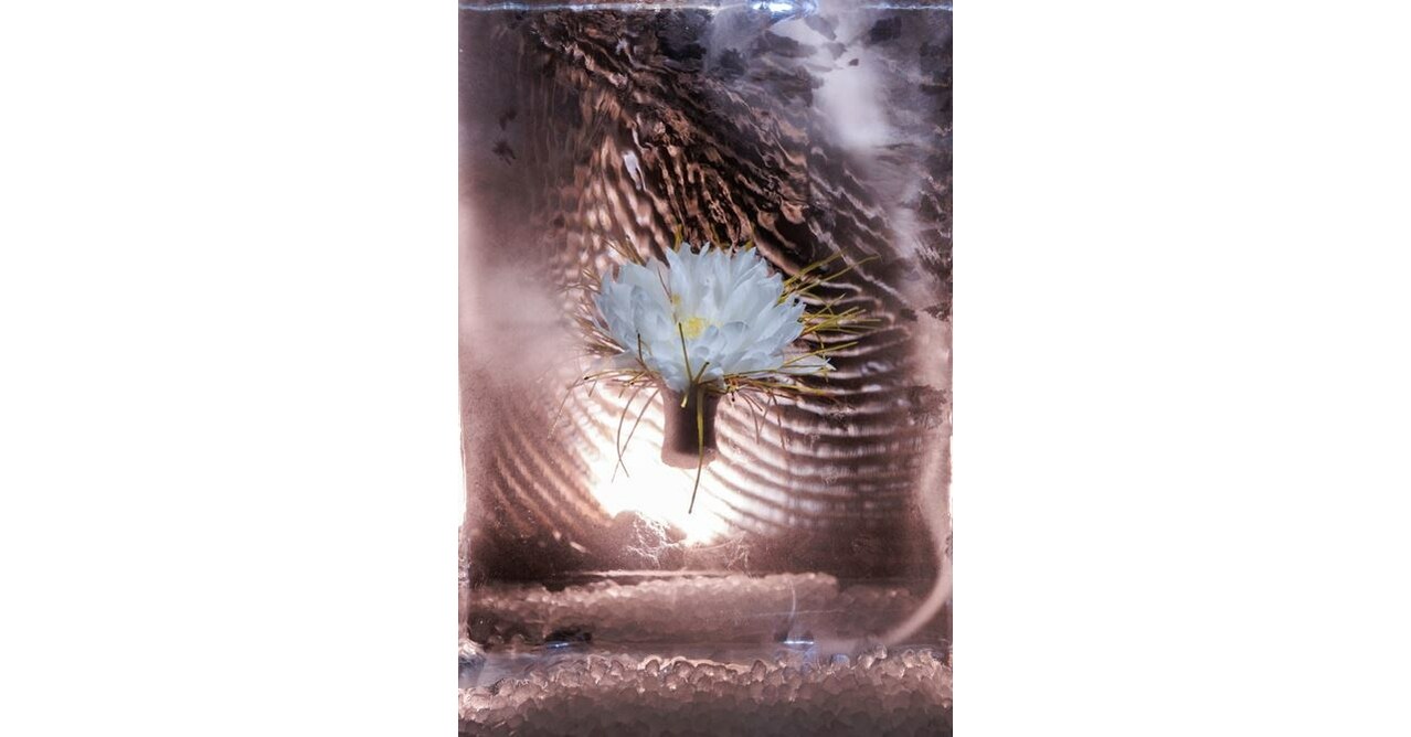 Exclusive Clarins Precious skincare line launches during Fashion week ...