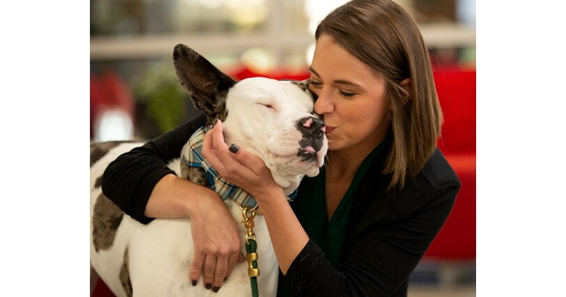 Pets in Need of Loving Homes Find Families Through PetSmart Charities ...