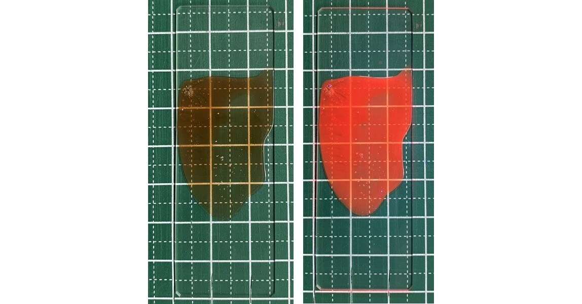Green Science Alliance Developed Quantum Dot Film Which Can Accelerate ...