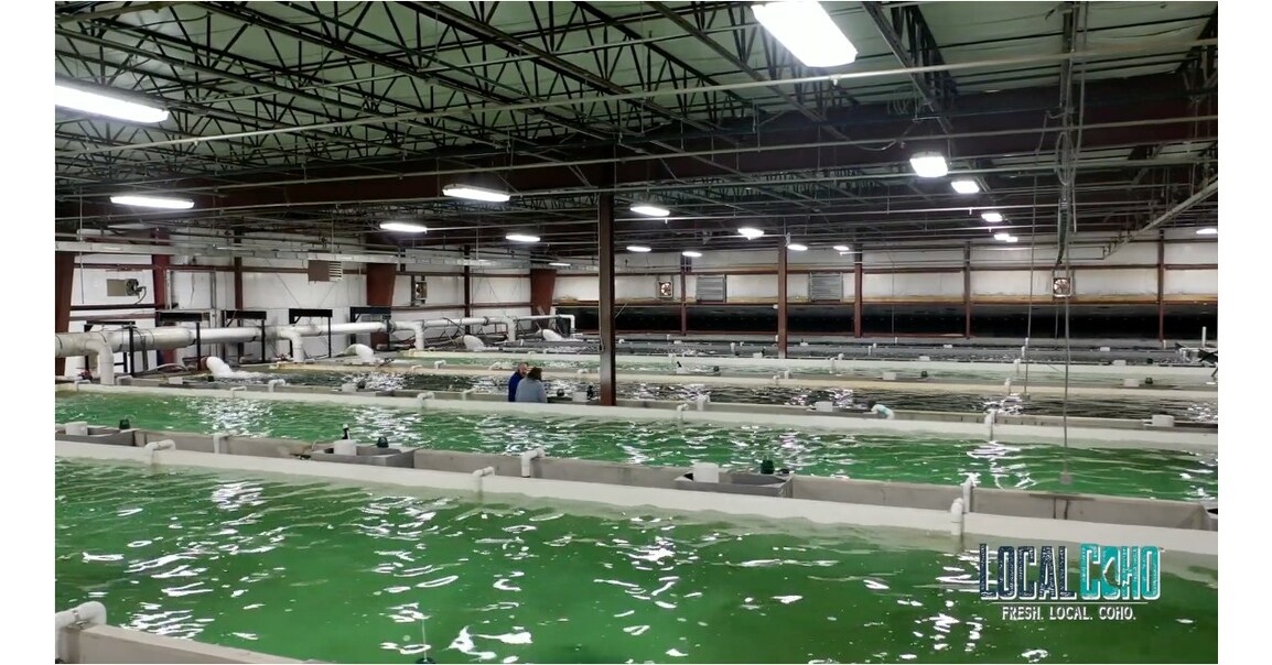 LocalCoho Partners with Tech Start-Up Shinkei Systems for Ethical ...