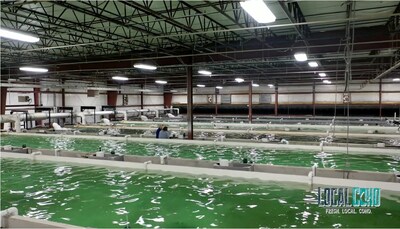 LocalCoho Partners with Tech Start-Up Shinkei Systems for Ethical ...