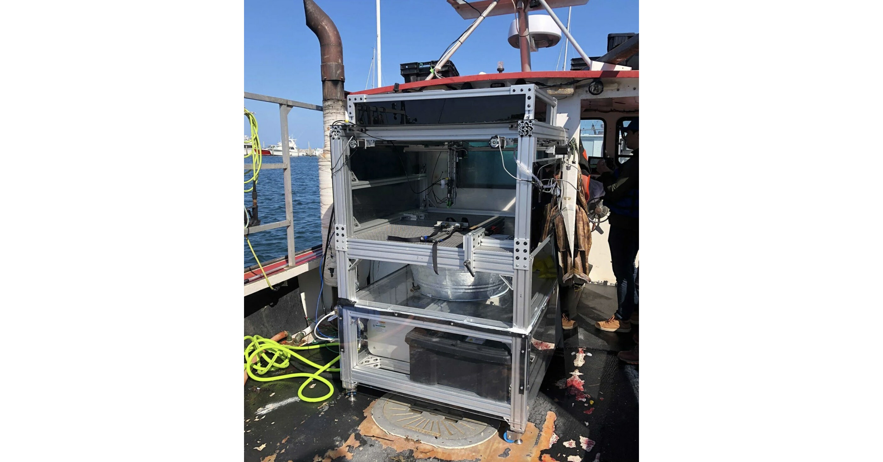 LocalCoho Partners with Tech Start-Up Shinkei Systems for Ethical ...