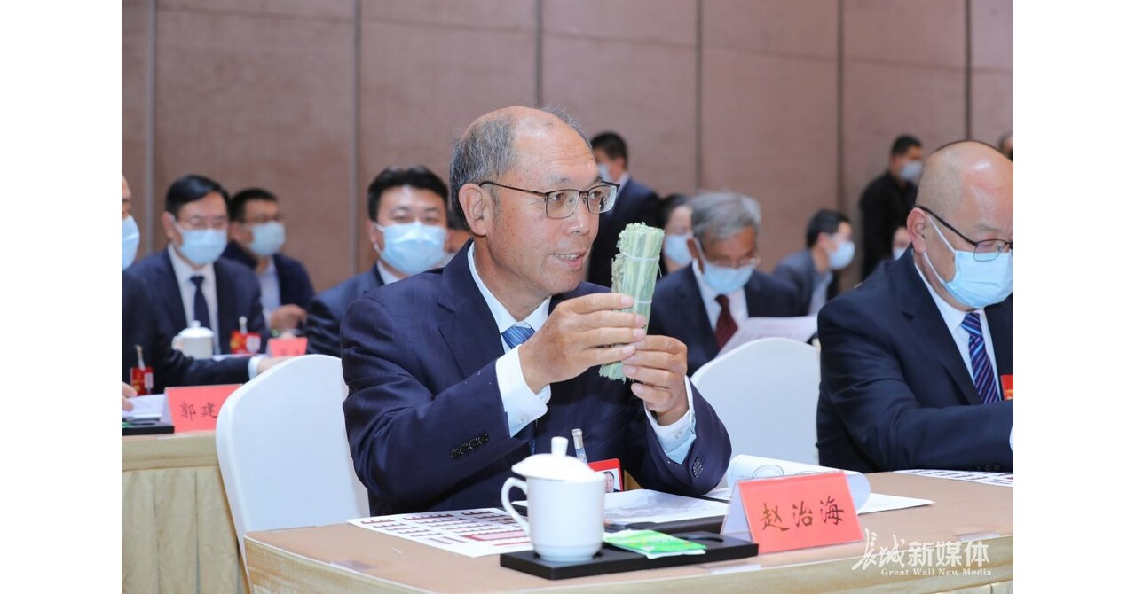 China's hybrid millet brings hope to easing world food crisis