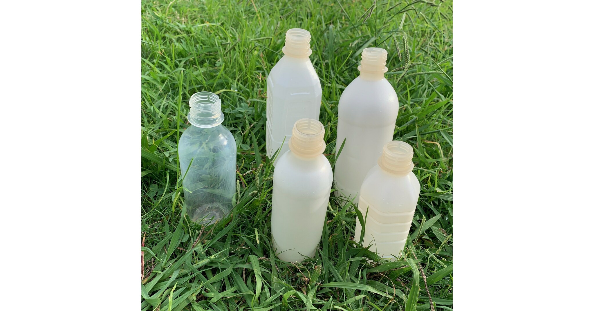 Dr. Ryohei Mori (Green Science Alliance Co., Ltd) Research on Plant ...