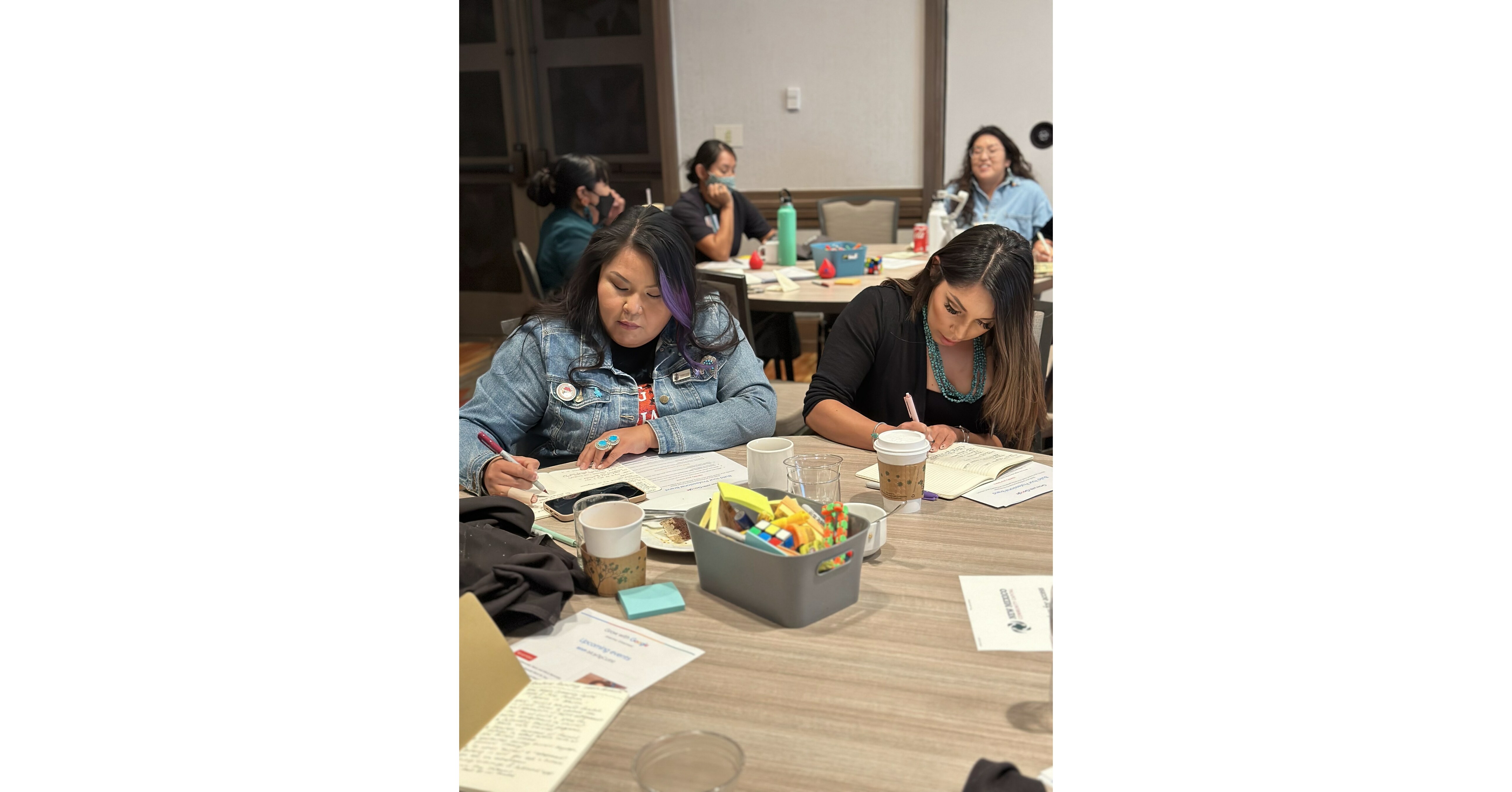 Indigenous woman-led apprenticeship opens applications for Indigenous ...