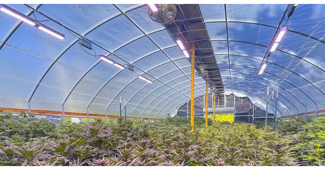 Introducing the X1 Greenhouse LED Grow Light - The Ultimate Solution ...