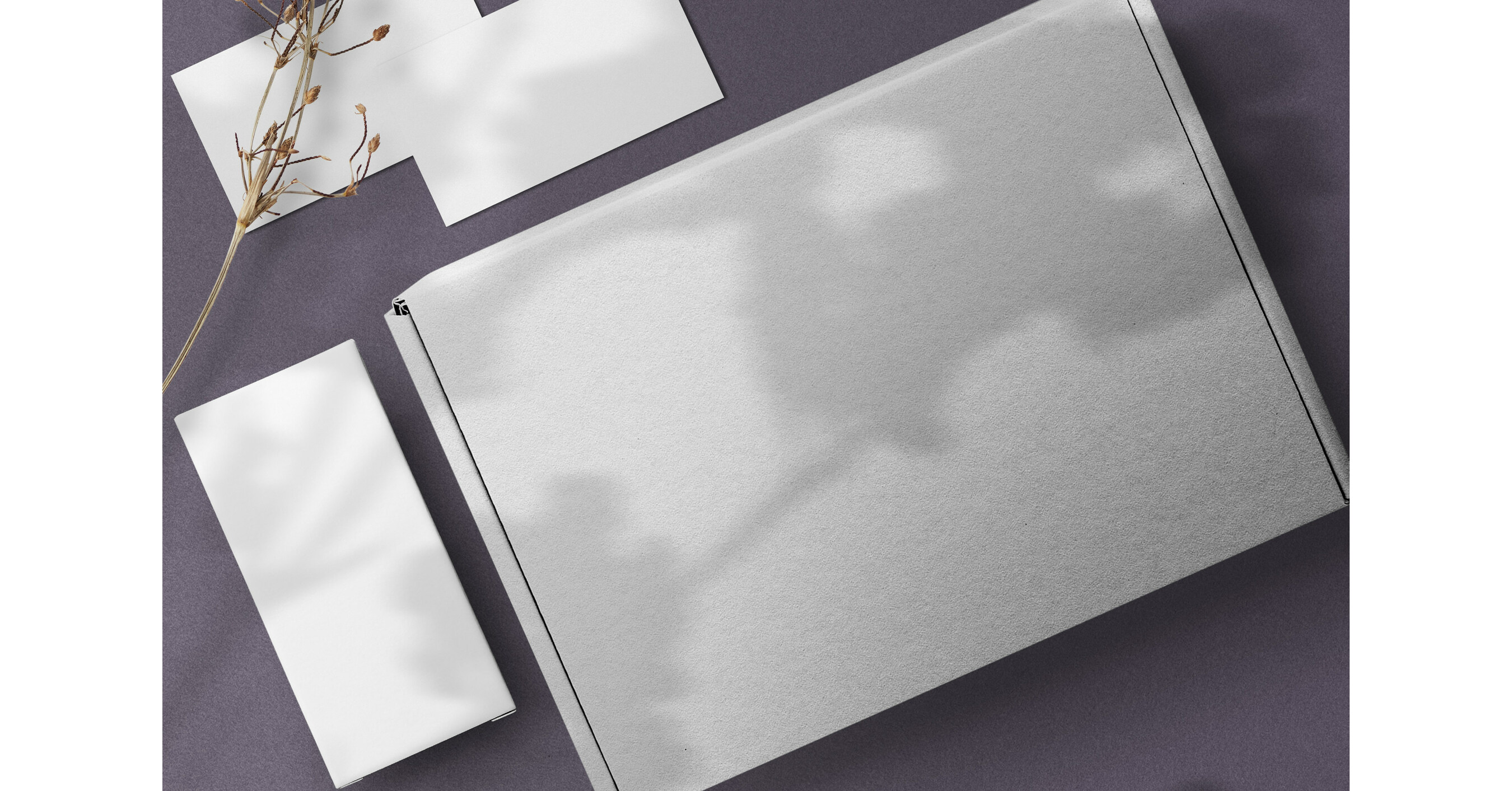 Choose Health Expands Testing Platform with Private Label At-Home Blood ...