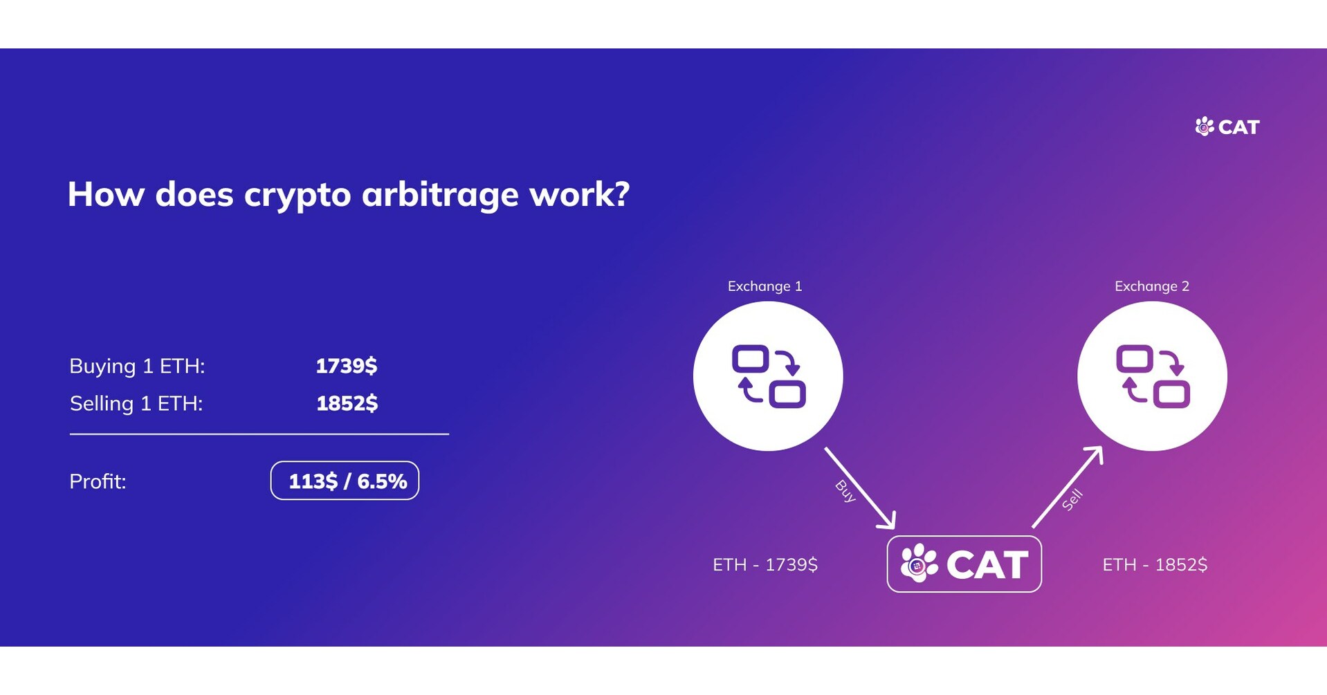 Crypto Arbitrage Team (CAT) Launches Transparency and Community Education Campaign with ...