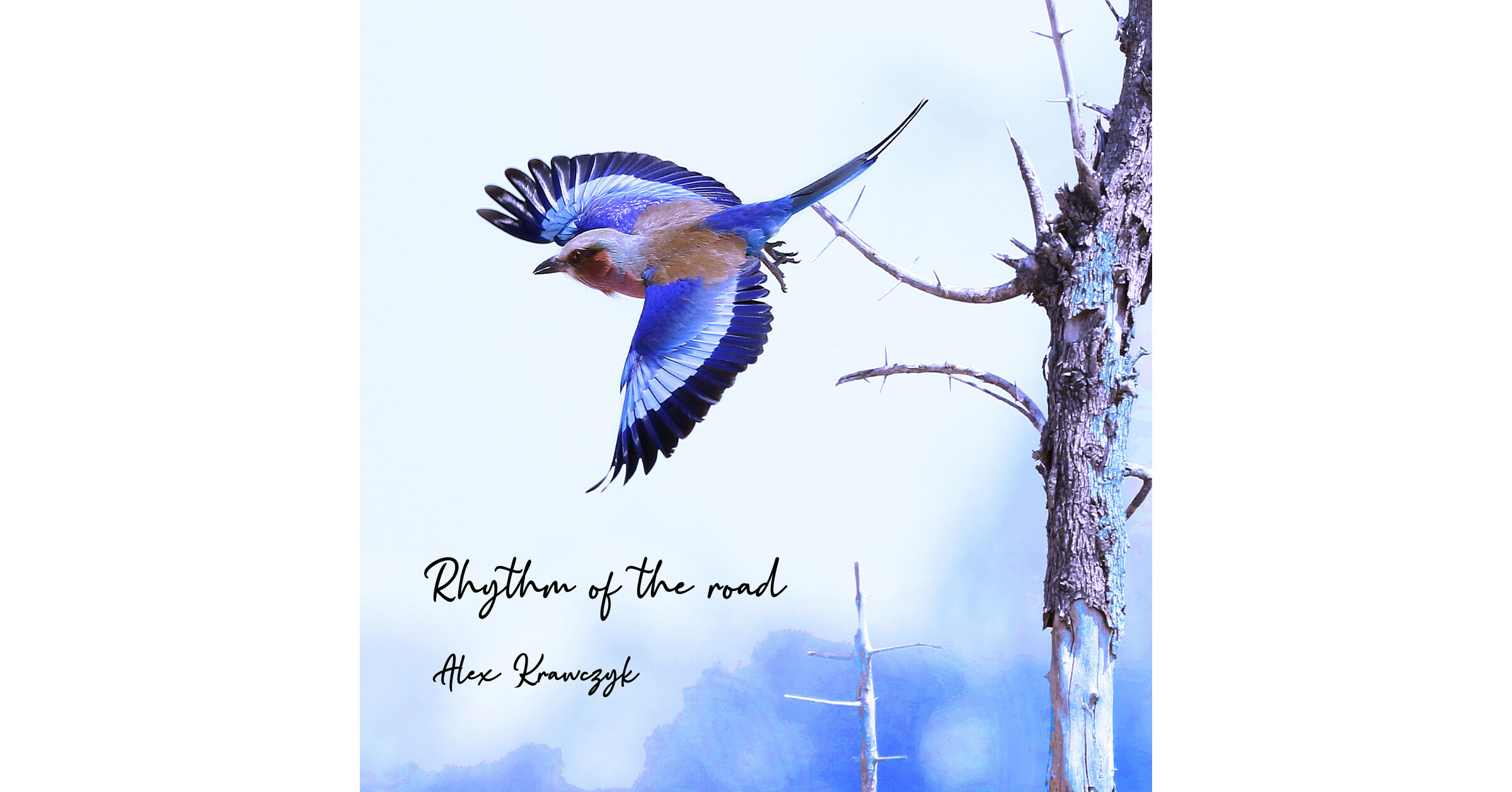 Canadian Folk Music Awards Nominee Alex Krawczyk Announces New Single ...