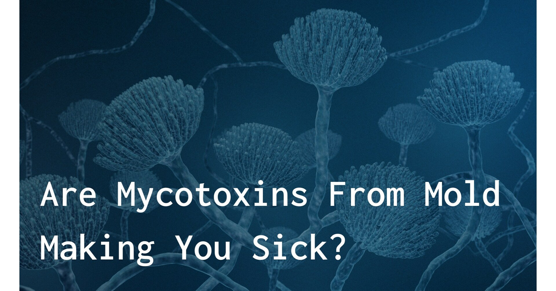 US BioTek Laboratories Launches MycoToxin Testing