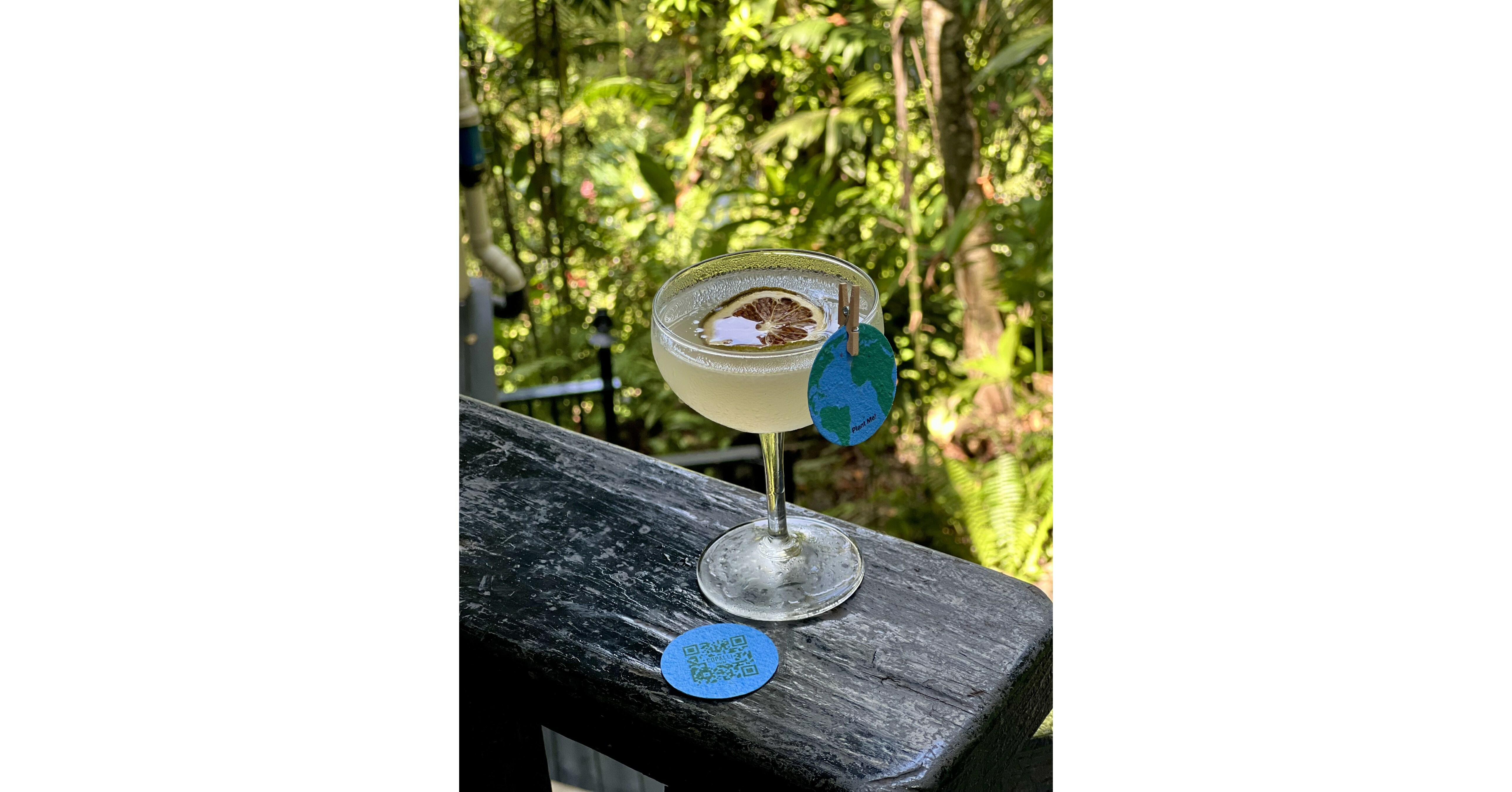 Copalli Rum Kicks off Cocktails for a Cause Campaign