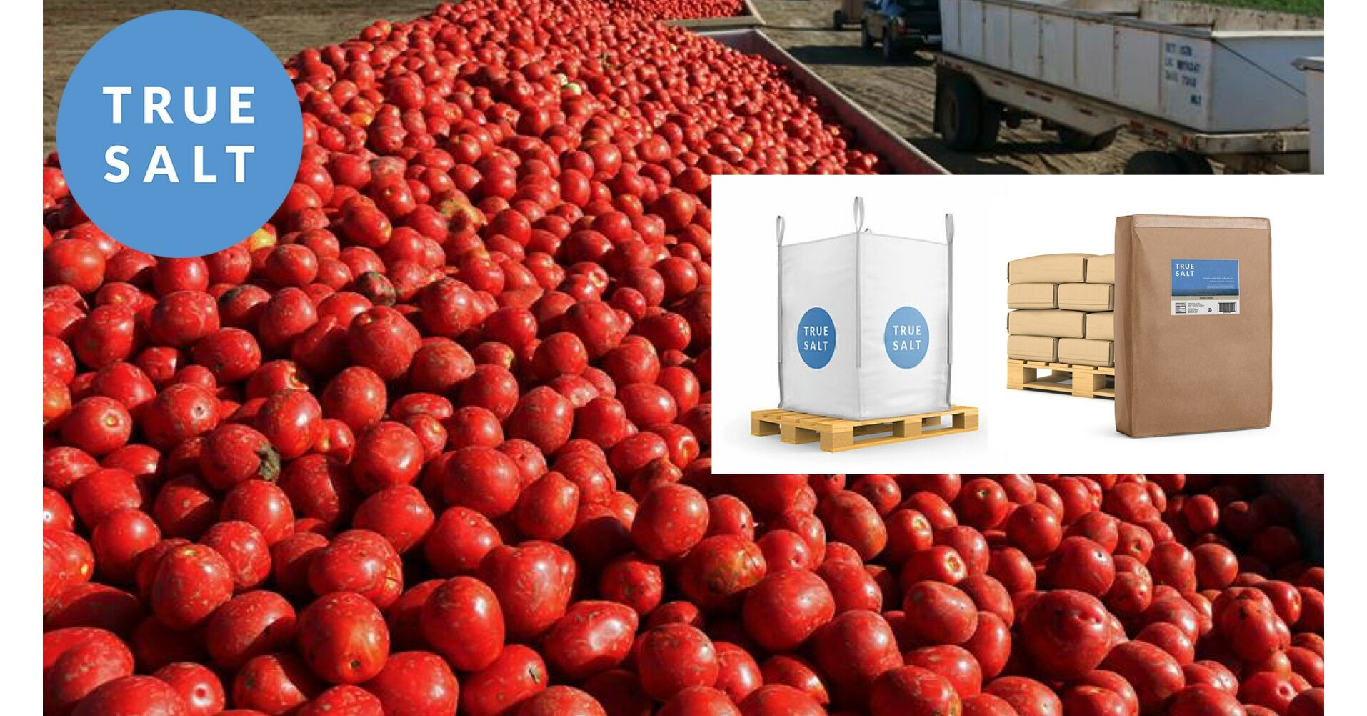True Salt Launches New Business Unit to Serve Tomato Canning Industry