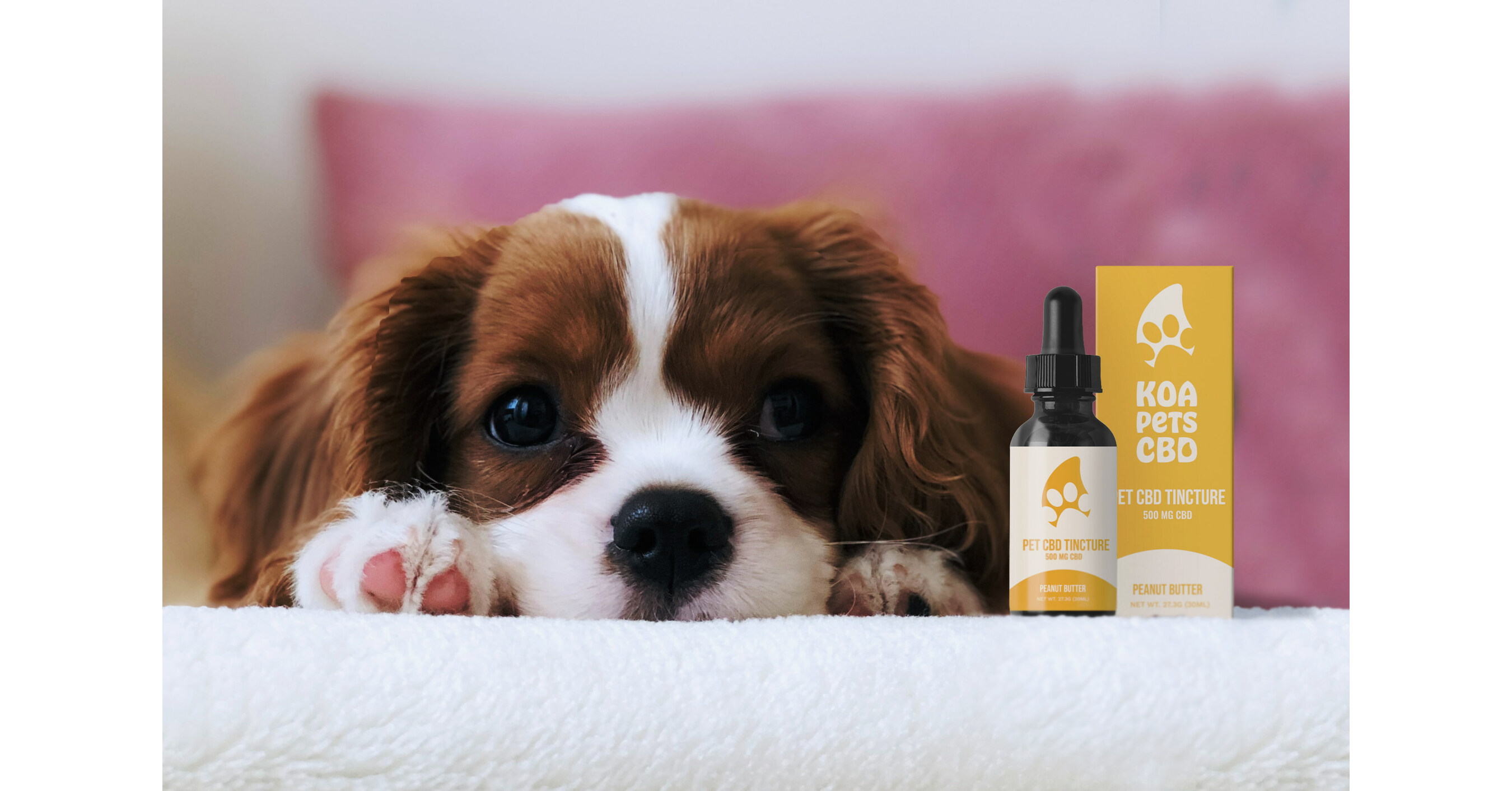 KOA Pets: The Aloha Spirit in Every Drop of CBD for Your Pet