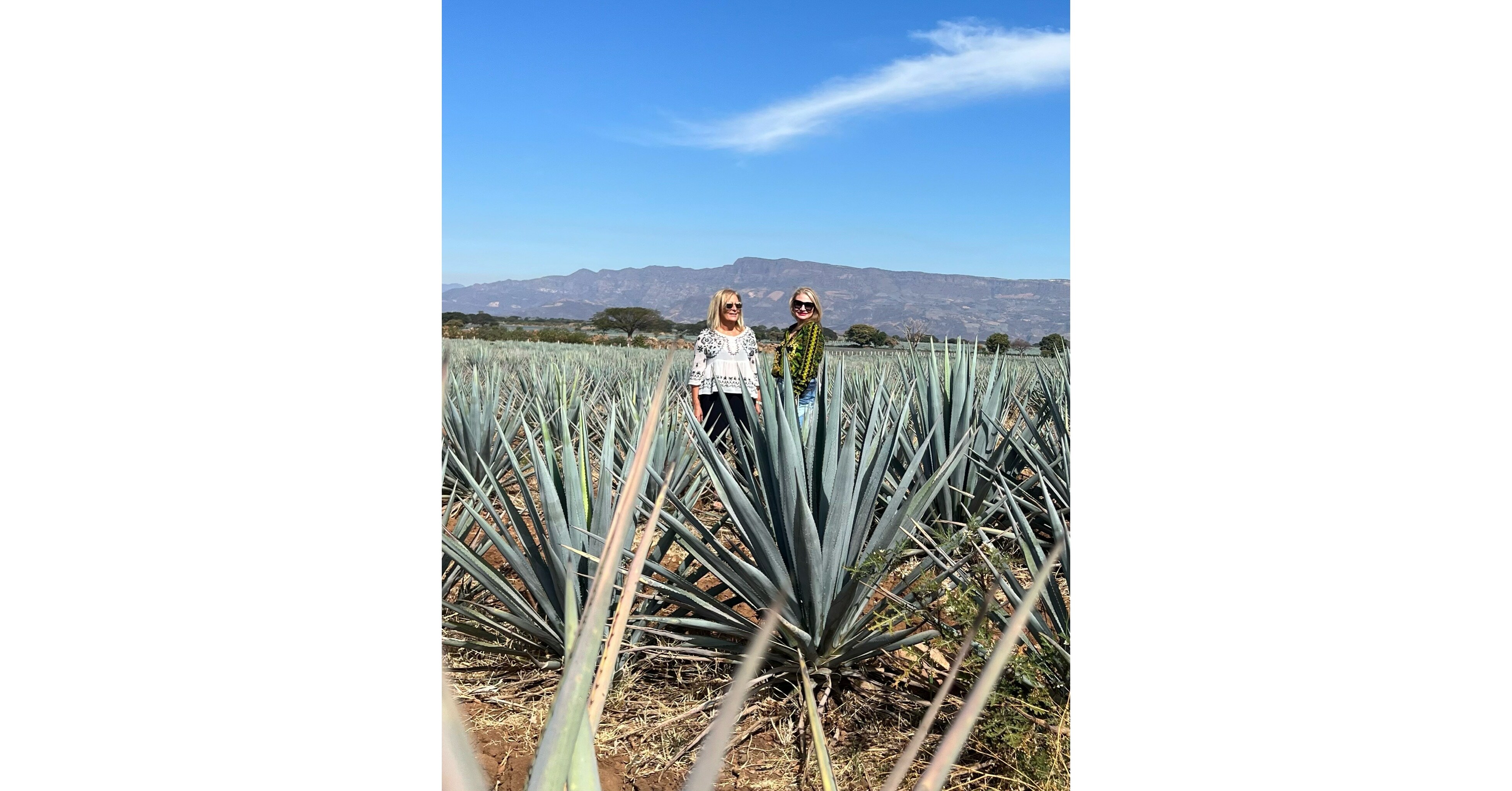 Women-Owned B!ATCH Tequila Establishes a Fierce Female Community Ahead ...