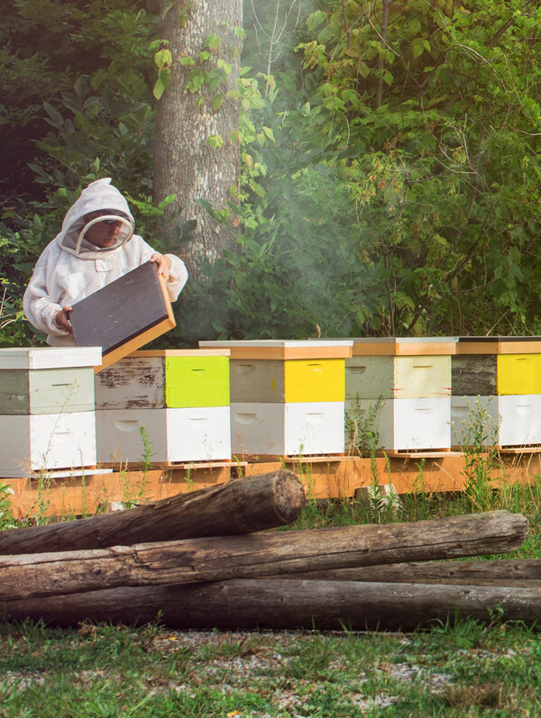 Canadian Made BY's Apitherapy Niagara Honey proves to have stronger ...