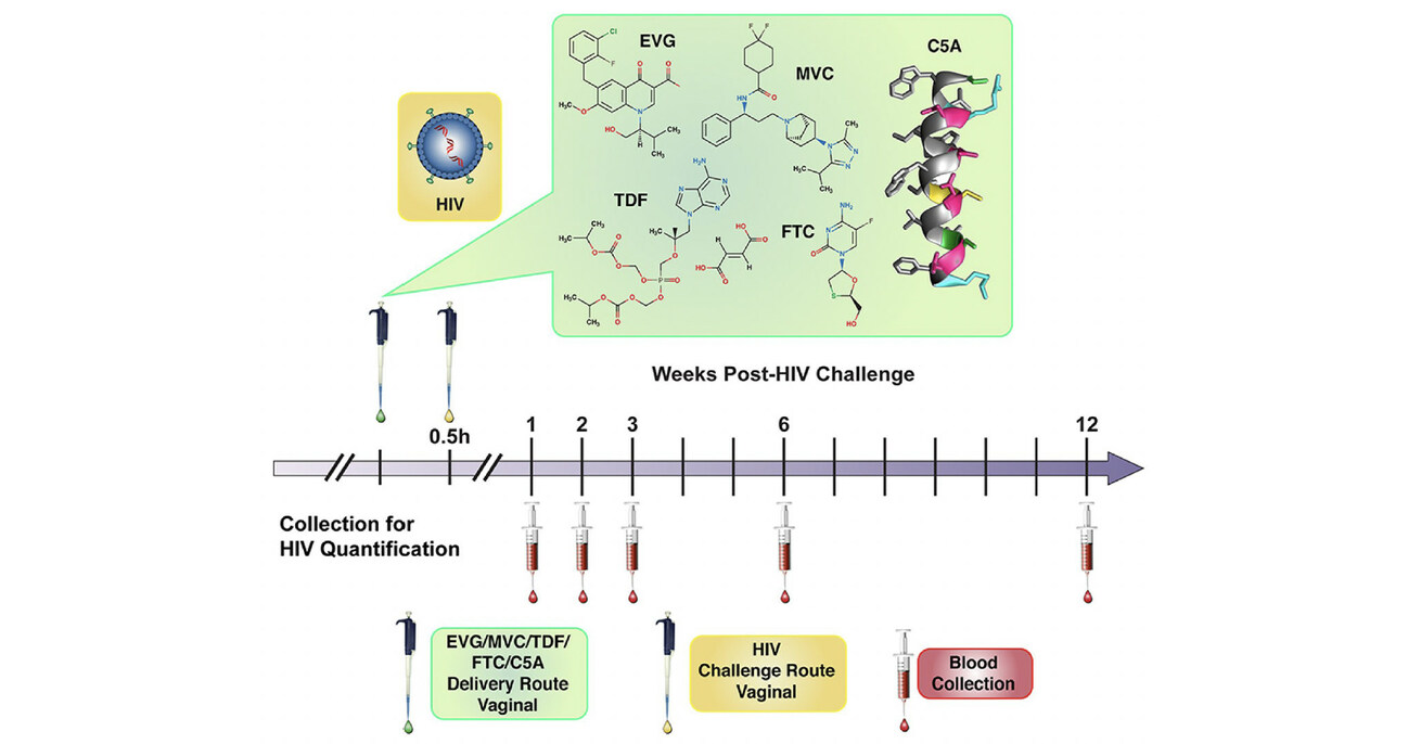 New Study Highlights the Complexity of Using Antiviral Drug ...