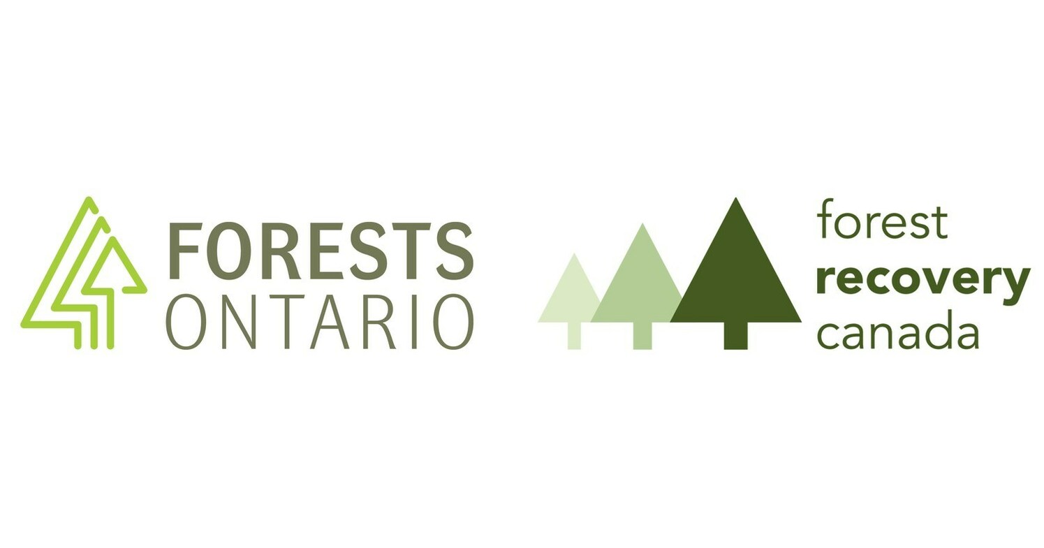 One Tree Planted and Forests Ontario partner to plant 17.5 million ...