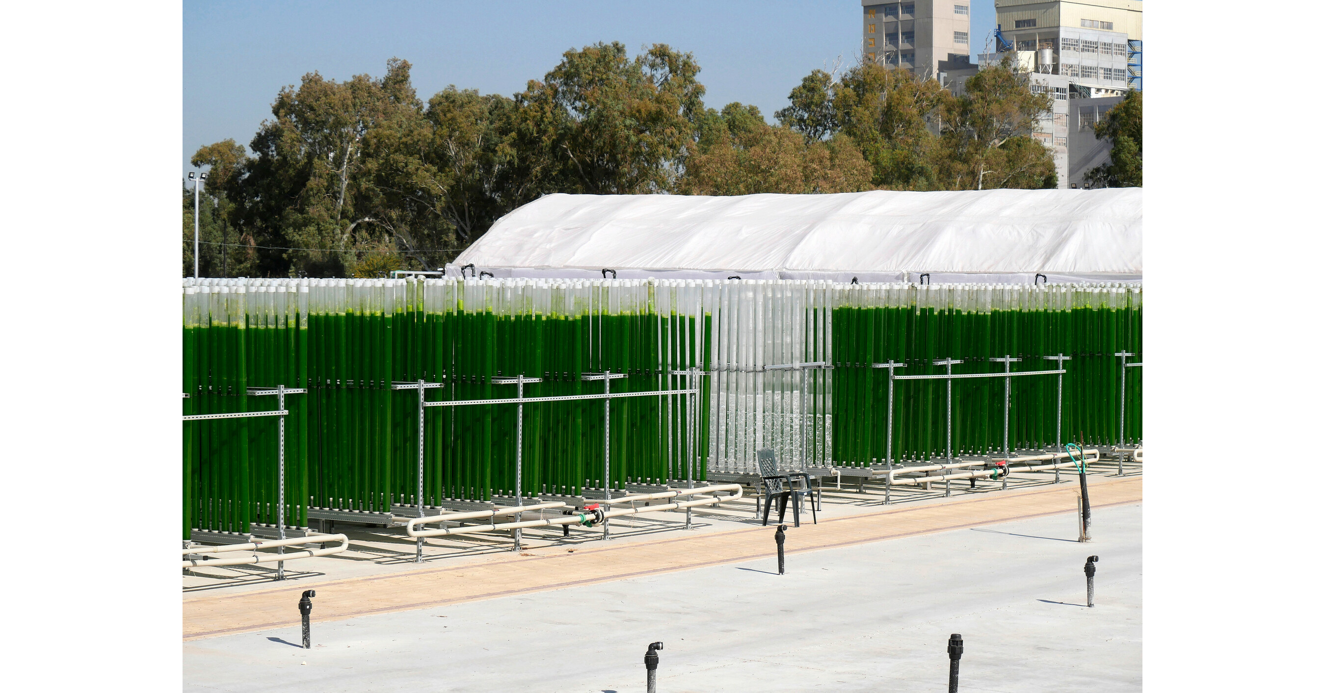 Upwell Cosmetics Brings Revolutionary New Algae-Derived Wax That Can ...