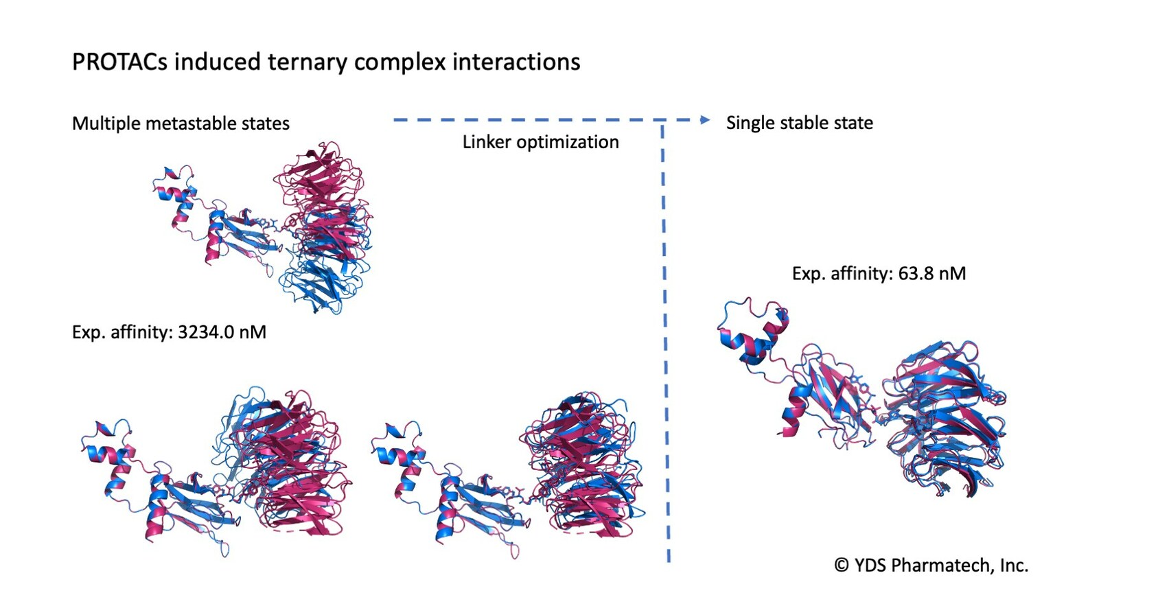 YDS Pharmatech's New Generative Diffusion Model Significantly Improves Structure-Based PROTAC ...