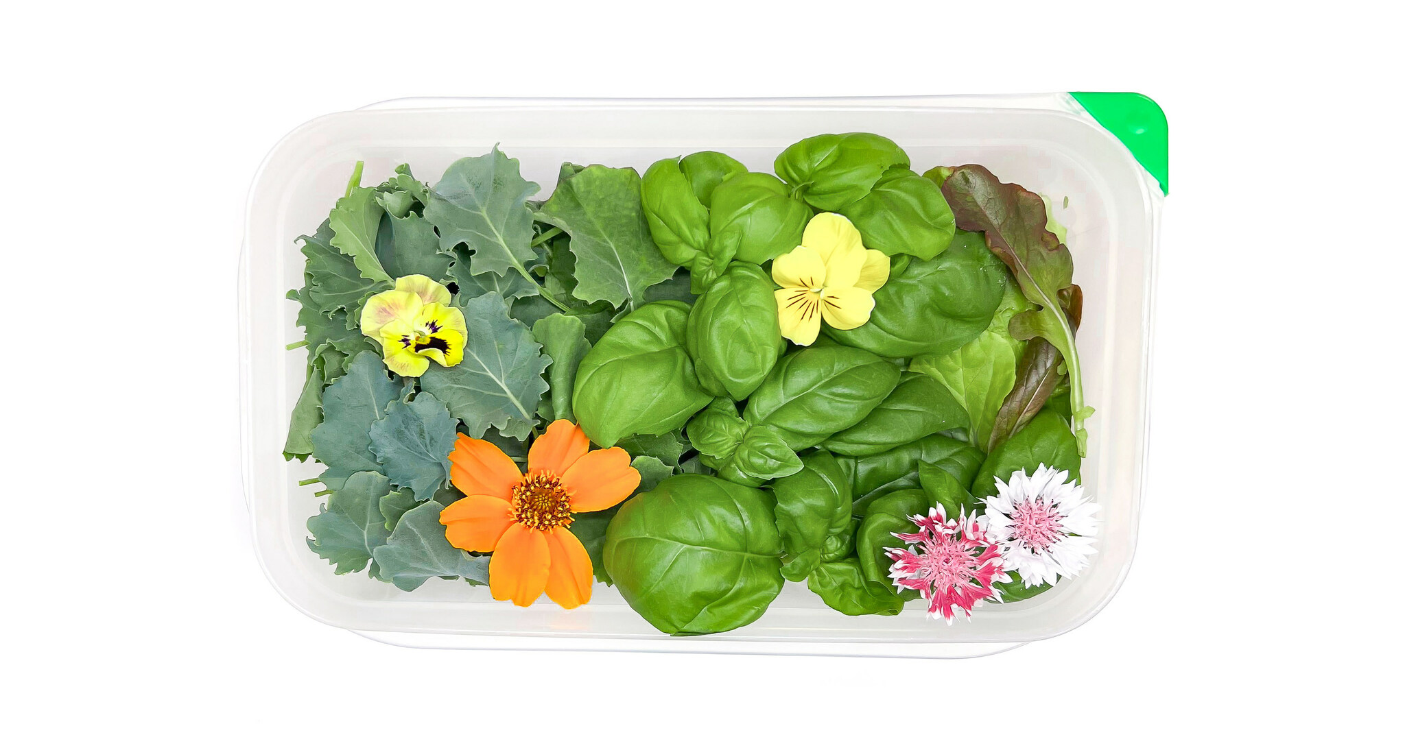 Farm.One Announces New Investment and Re-Opening of its Brooklyn Indoor ...