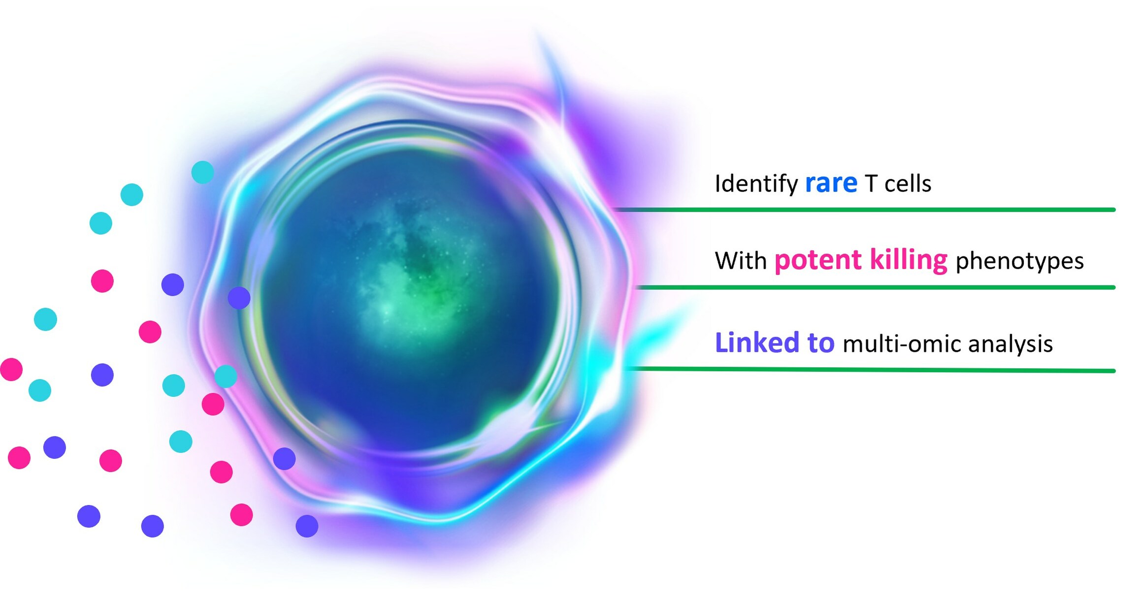 PhenomeX Launches the Opto® T Cell Profiling Workflow