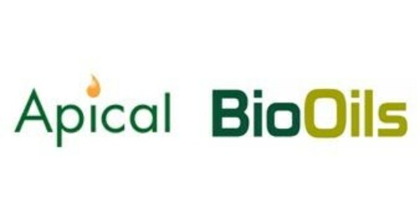 Apical's Entry to Sustainable Aviation Fuels Takes Flight with Cepsa to ...