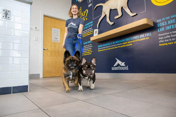 Scenthound Opens 50th Location!
