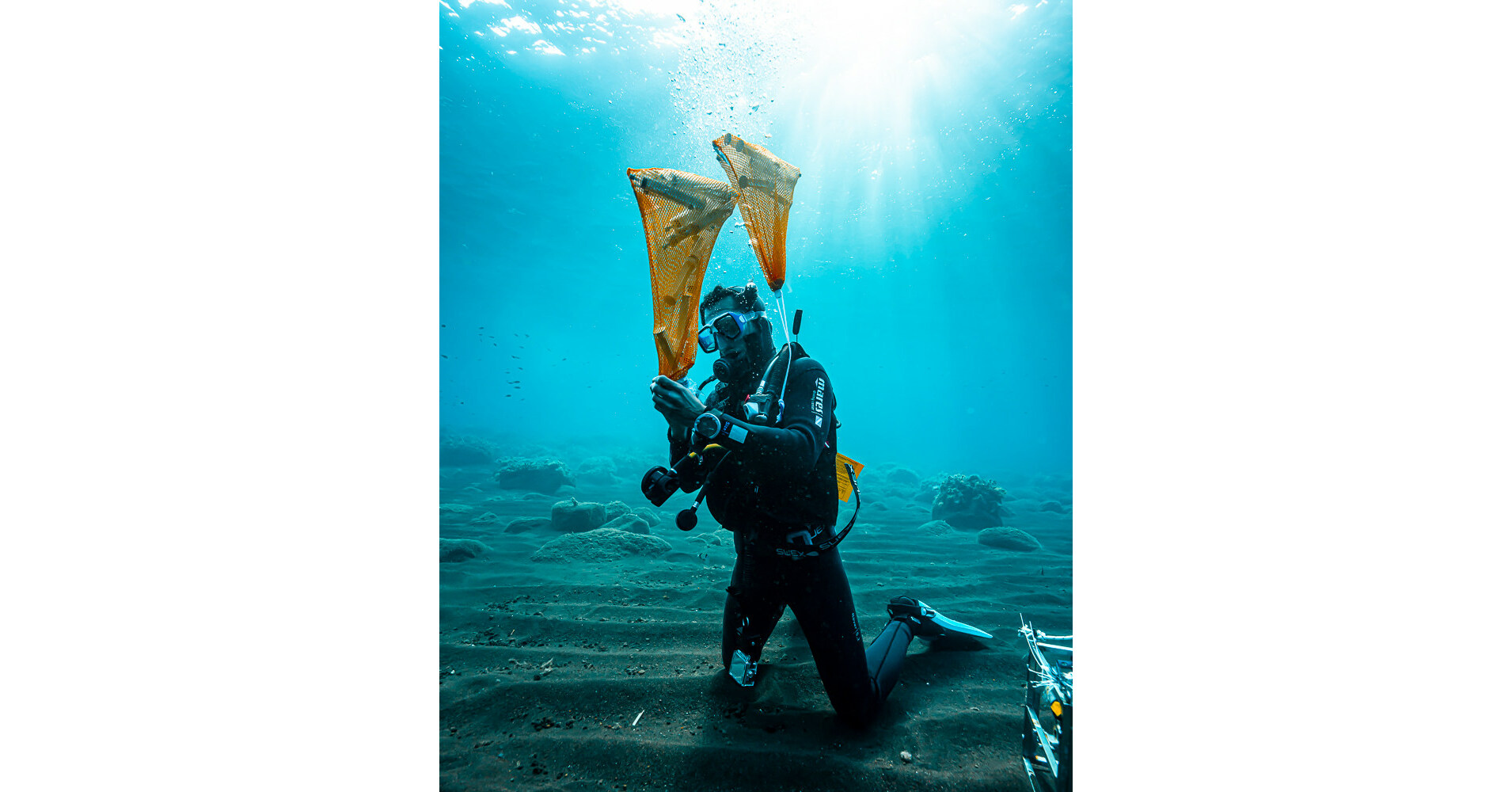 Scientists Discover Volcanic Microbe That Could Unlock New Frontier in ...