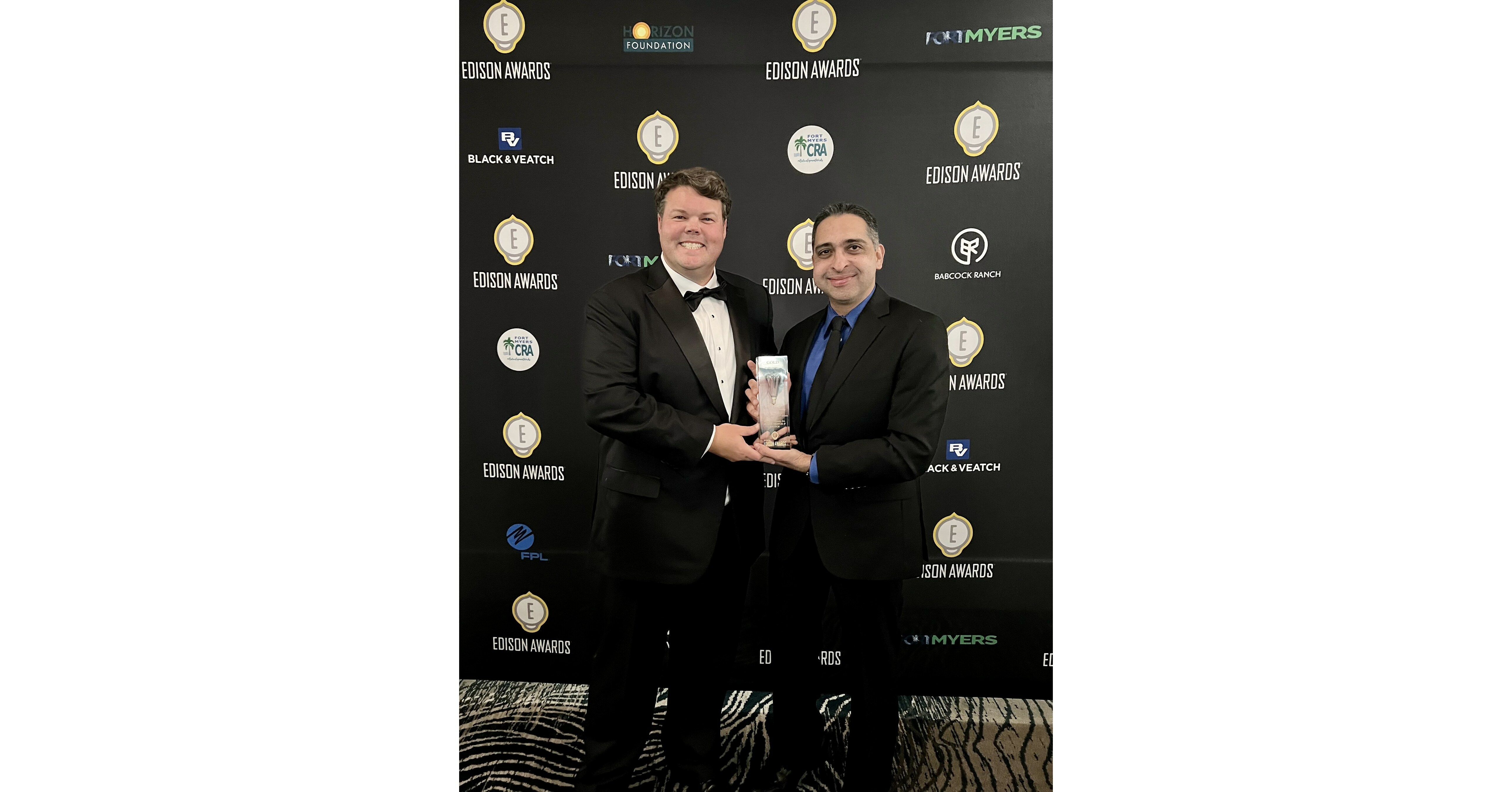 MicroTransponder Wins Edison Award for The Vivistim Paired VNS System ...