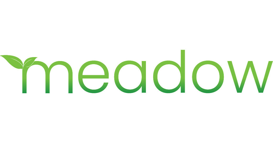 DELAWARE RIVER SOLAR FOUNDERS LAUNCH MEADOW, SPLITTING CONSUMER-FACING ...