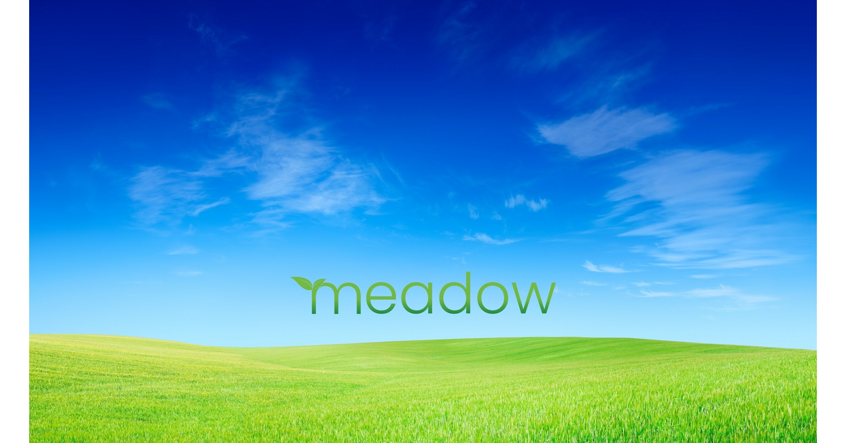 DELAWARE RIVER SOLAR FOUNDERS LAUNCH MEADOW, SPLITTING CONSUMER-FACING ...