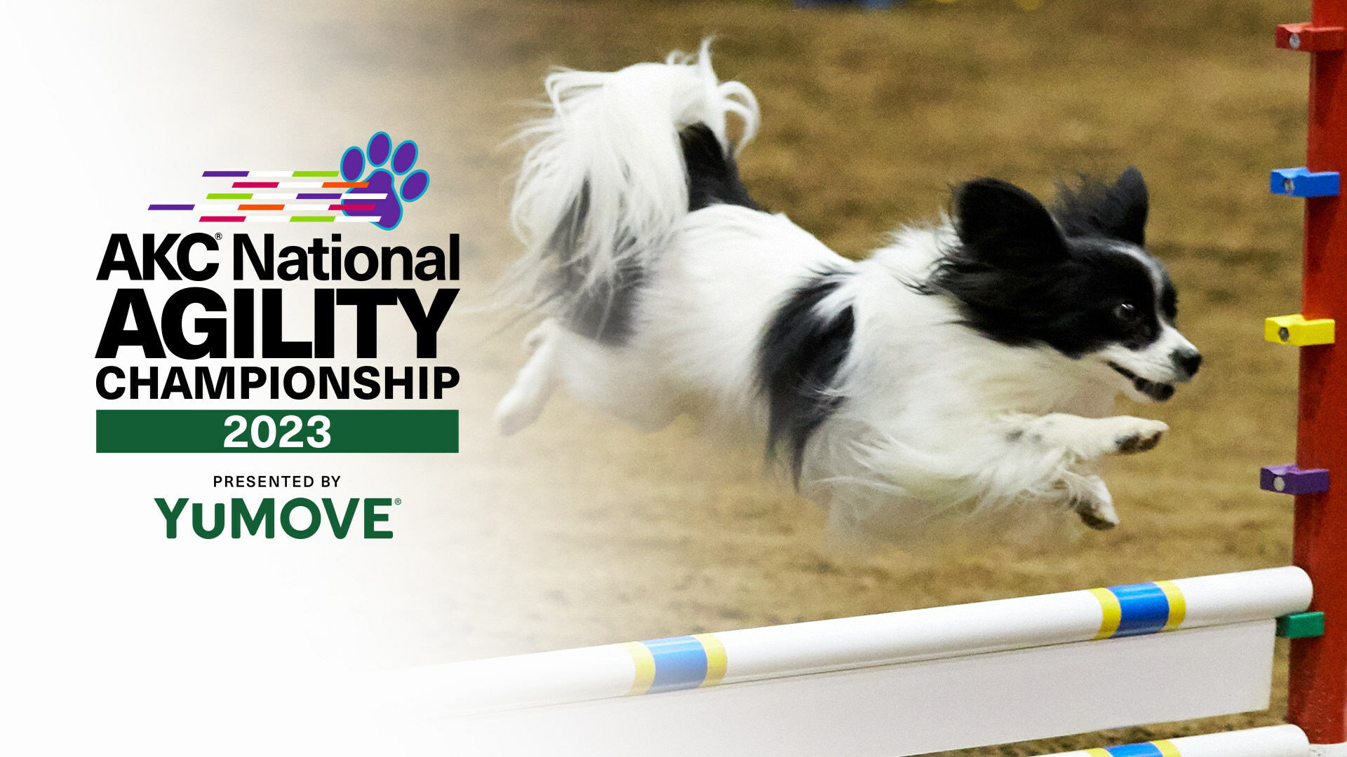 Cision - MediaStudio View Media