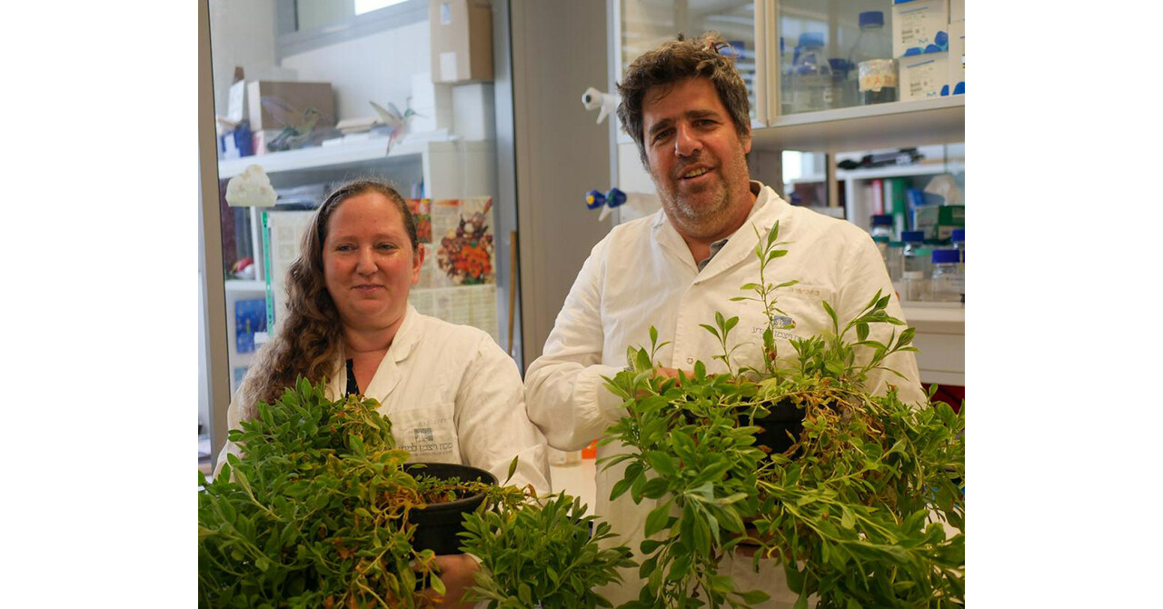 Weizmann Institute Scientists Unveil "Parallel Evolution of Cannabinoid ...