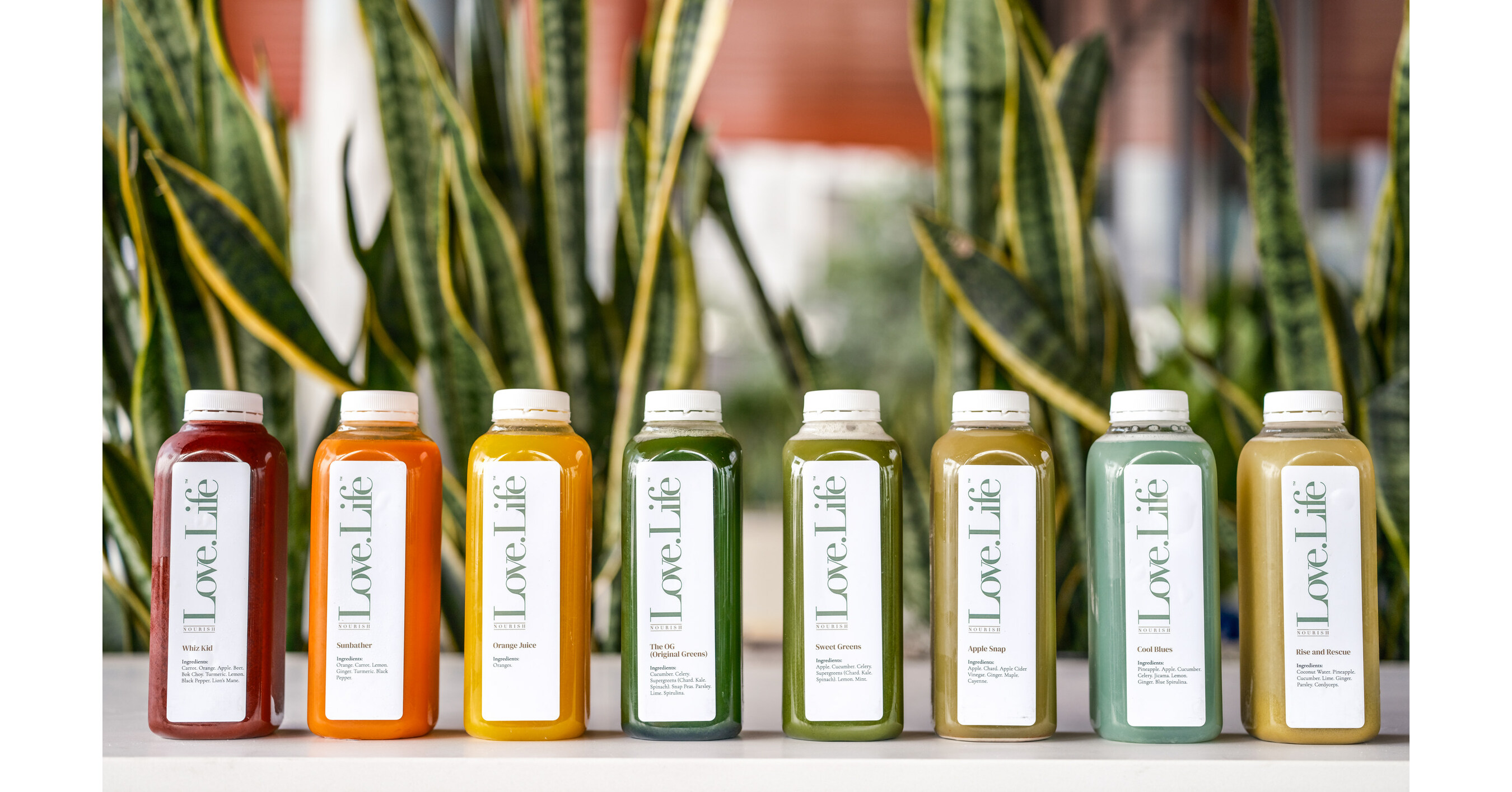 Love.Life restaurant opens in Los Angeles as part of new immersive ...