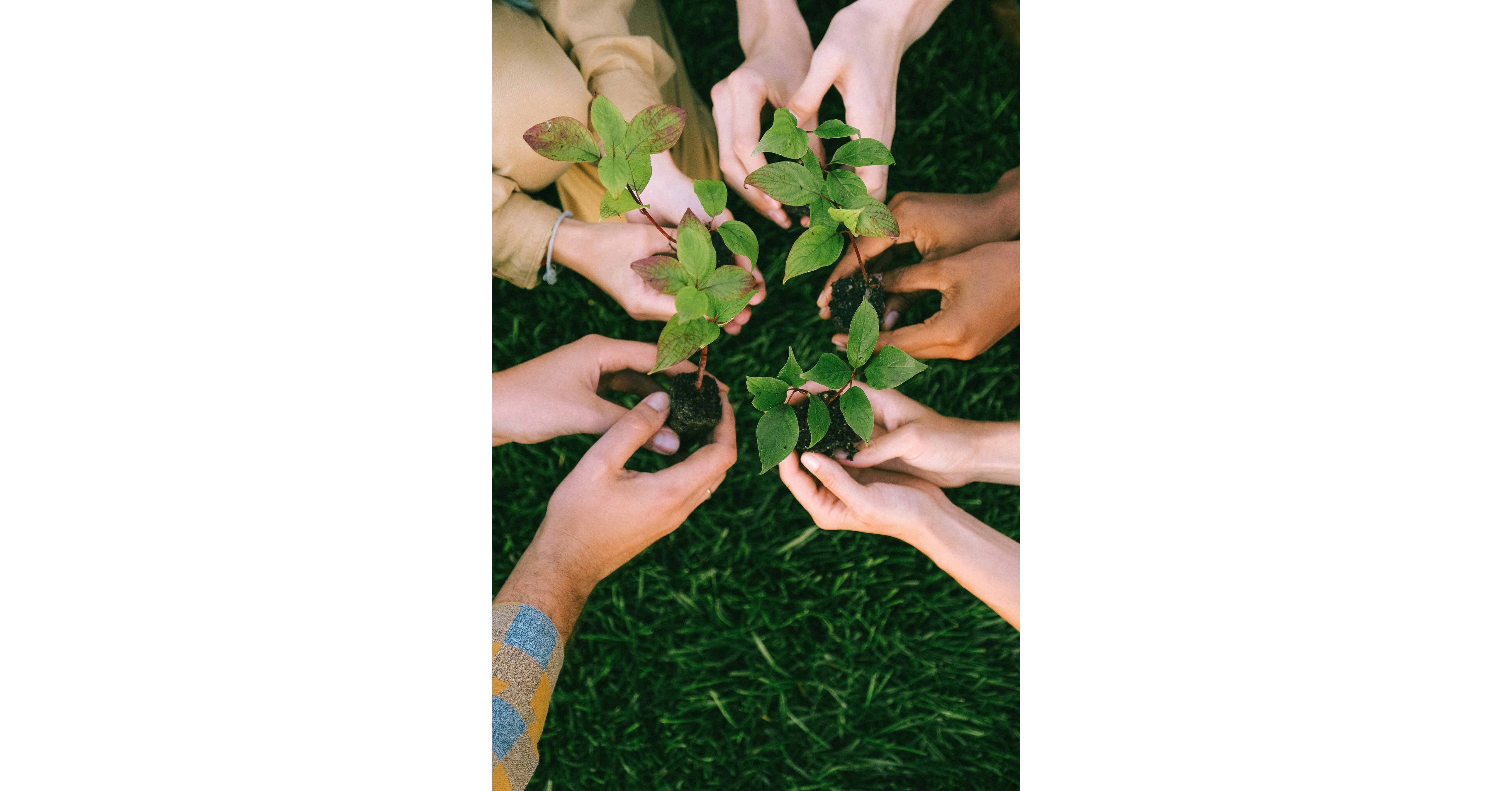 Dee Agarwal on His Commitment to Philanthropy