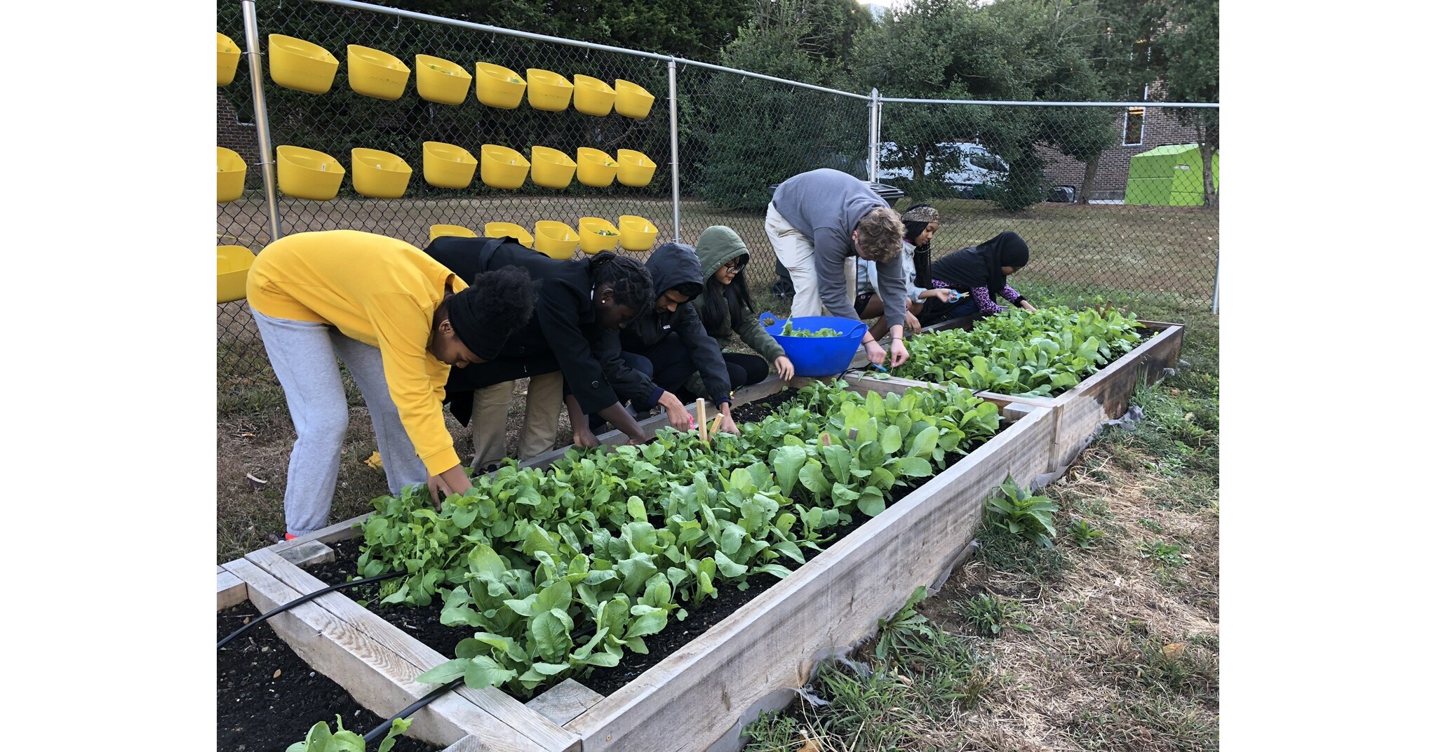 Nature's Path Supports 15 Community Gardens with more than $100,000 in ...