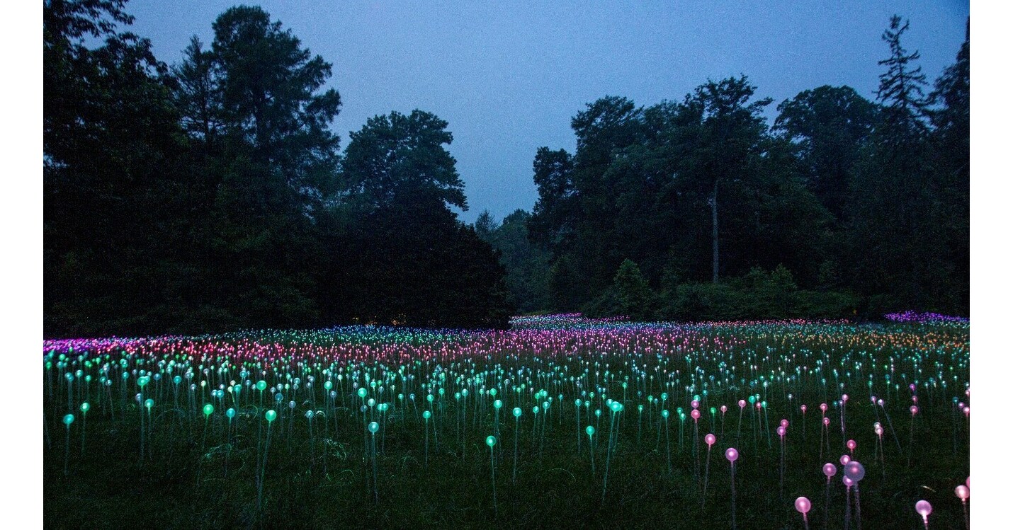 International Artist Bruce Munro to debut "Field of Light" public ...
