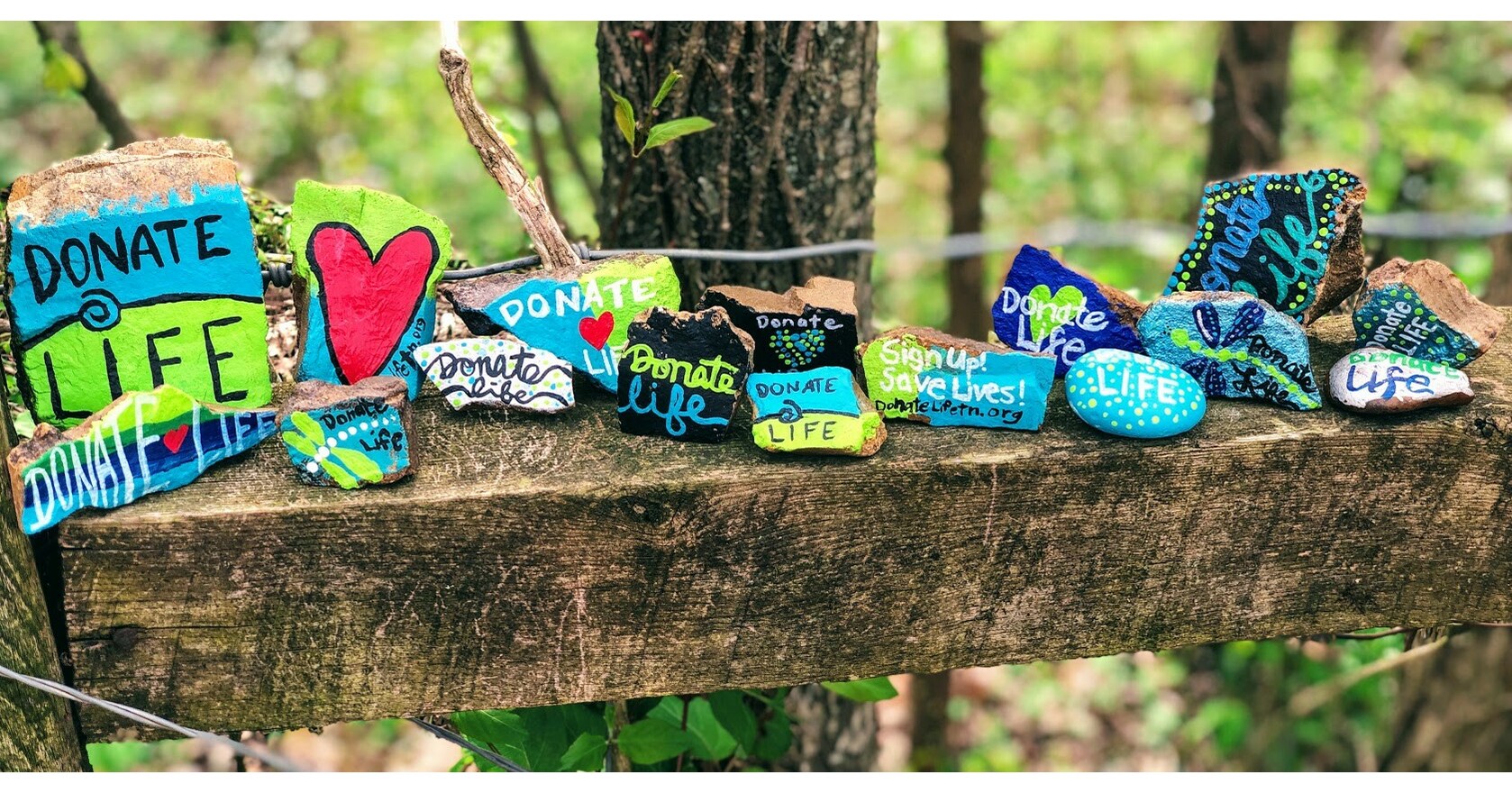 SERVICE CORPORATION INTERNATIONAL PARTNERS WITH DONATE LIFE AMERICA