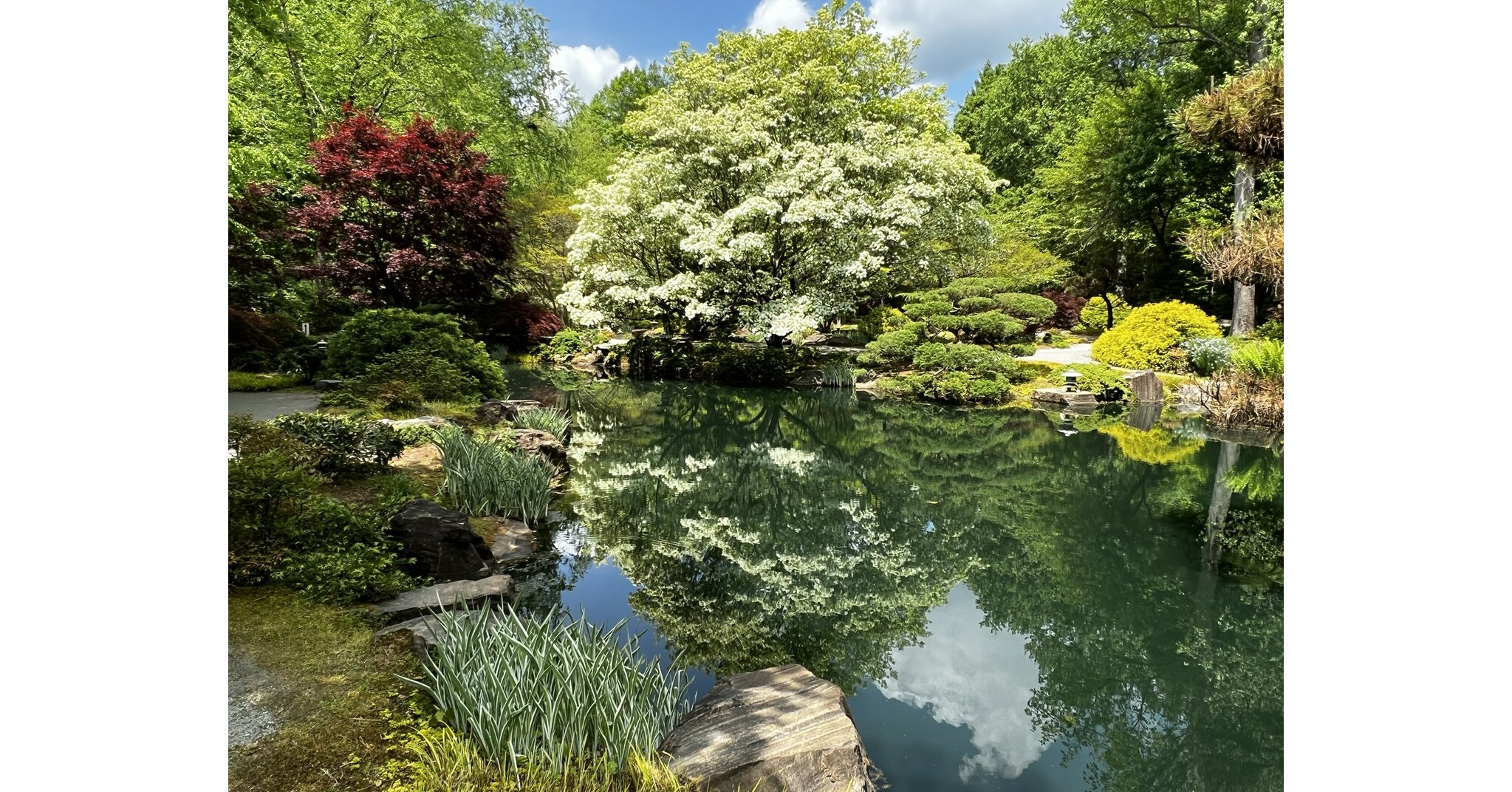 Gibbs Gardens in May--A World-Class Springtime Experience