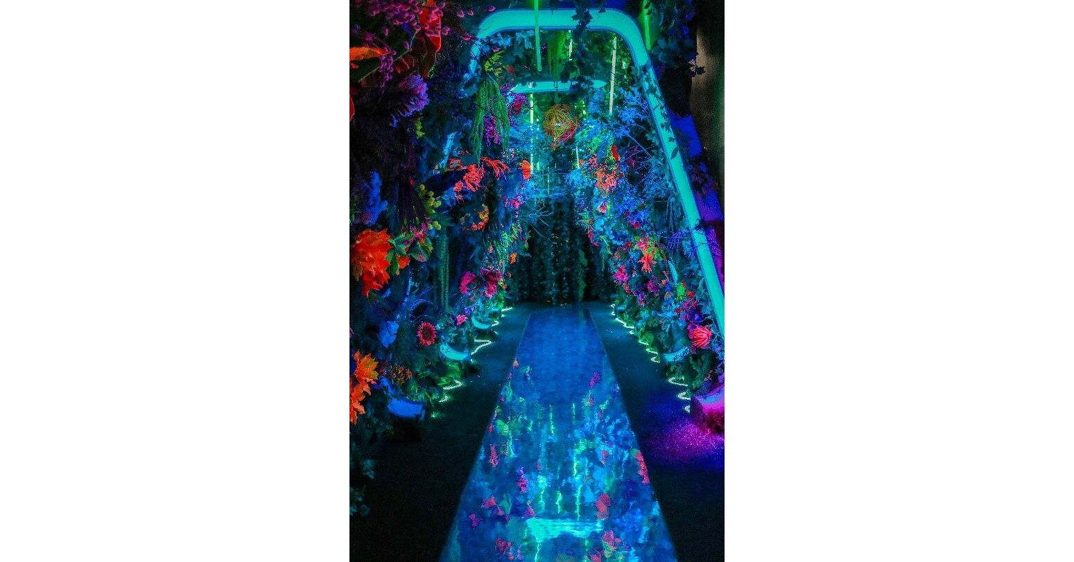 INTER_, NYC'S NEWEST INTERACTIVE ART JOURNEY ANNOUNCES OFFICIAL LAUNCH