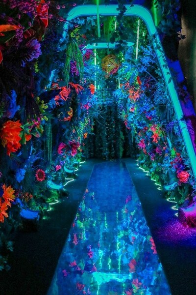 INTER_, NYC'S NEWEST INTERACTIVE ART JOURNEY ANNOUNCES OFFICIAL LAUNCH